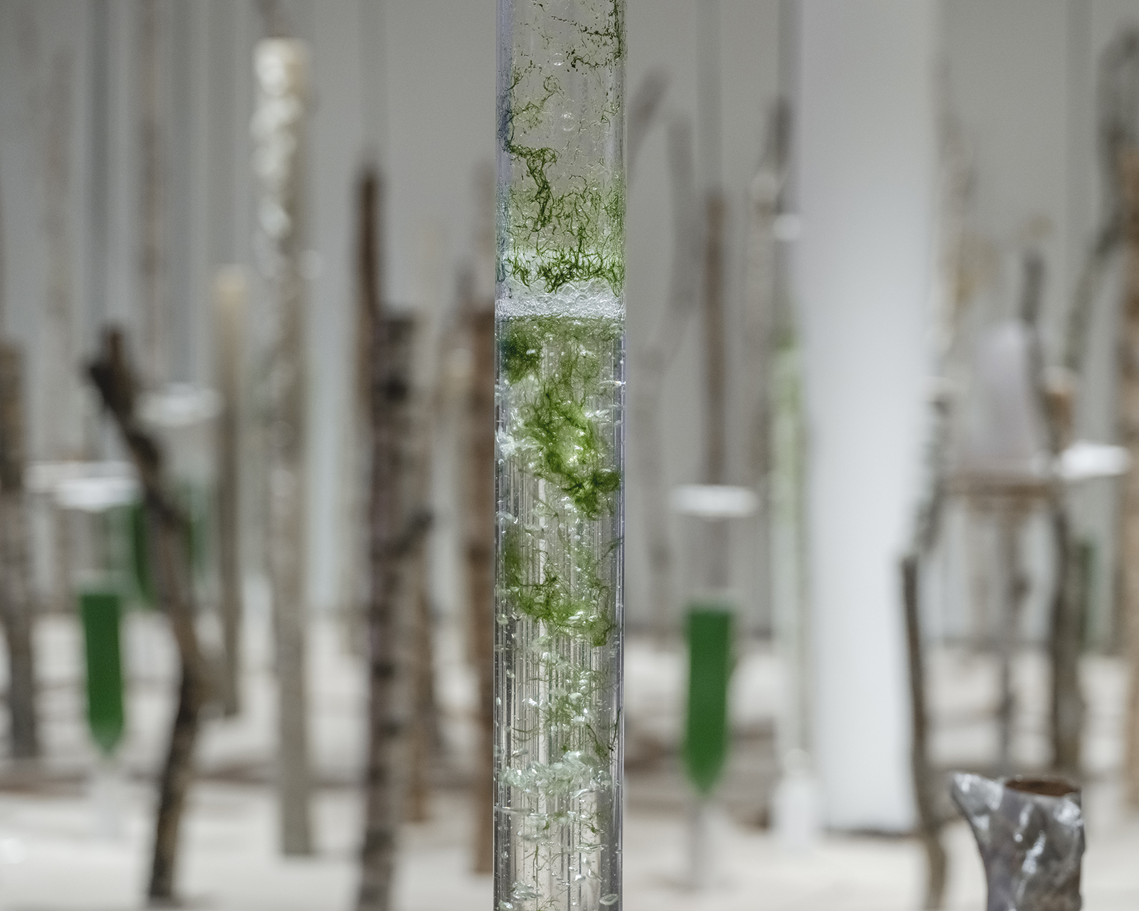 Gallery of A Bio-Digital Exploration: ecoLogicStudio Opens Deep Forest ...