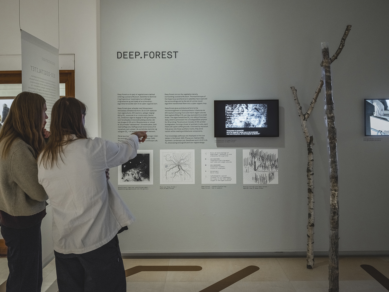 Gallery of A Bio-Digital Exploration: ecoLogicStudio Opens Deep Forest ...