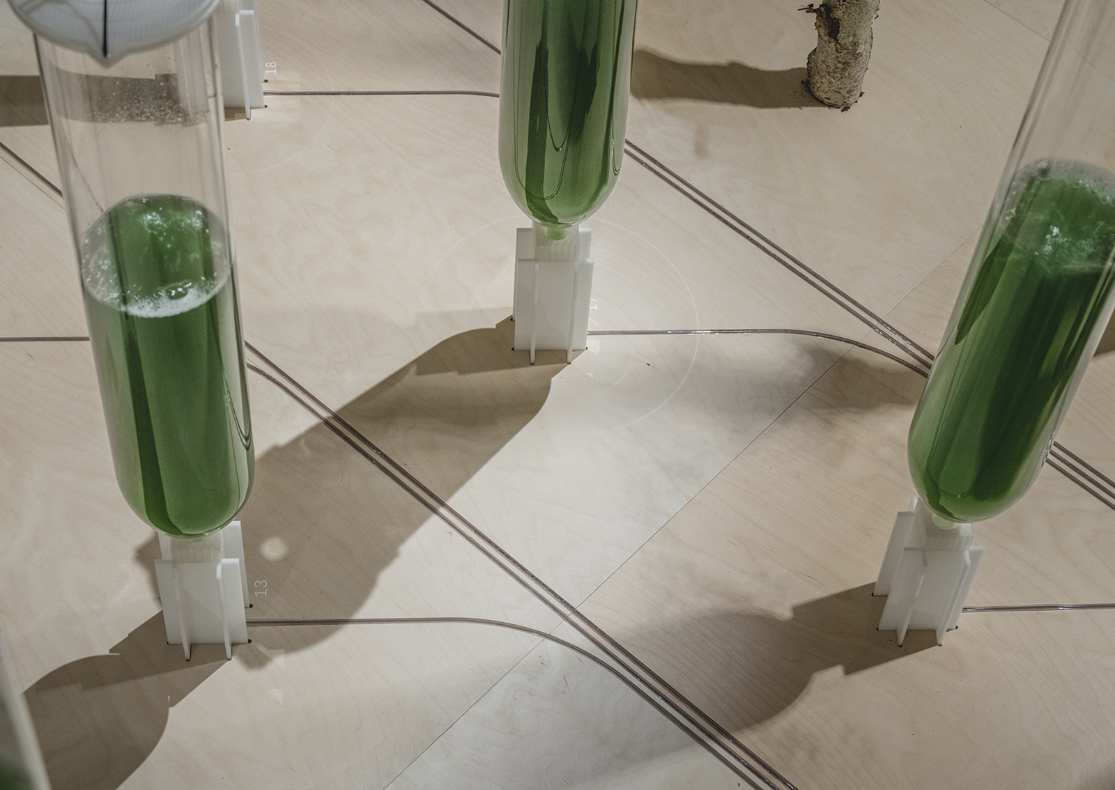 Gallery of A Bio-Digital Exploration: ecoLogicStudio Opens Deep Forest ...