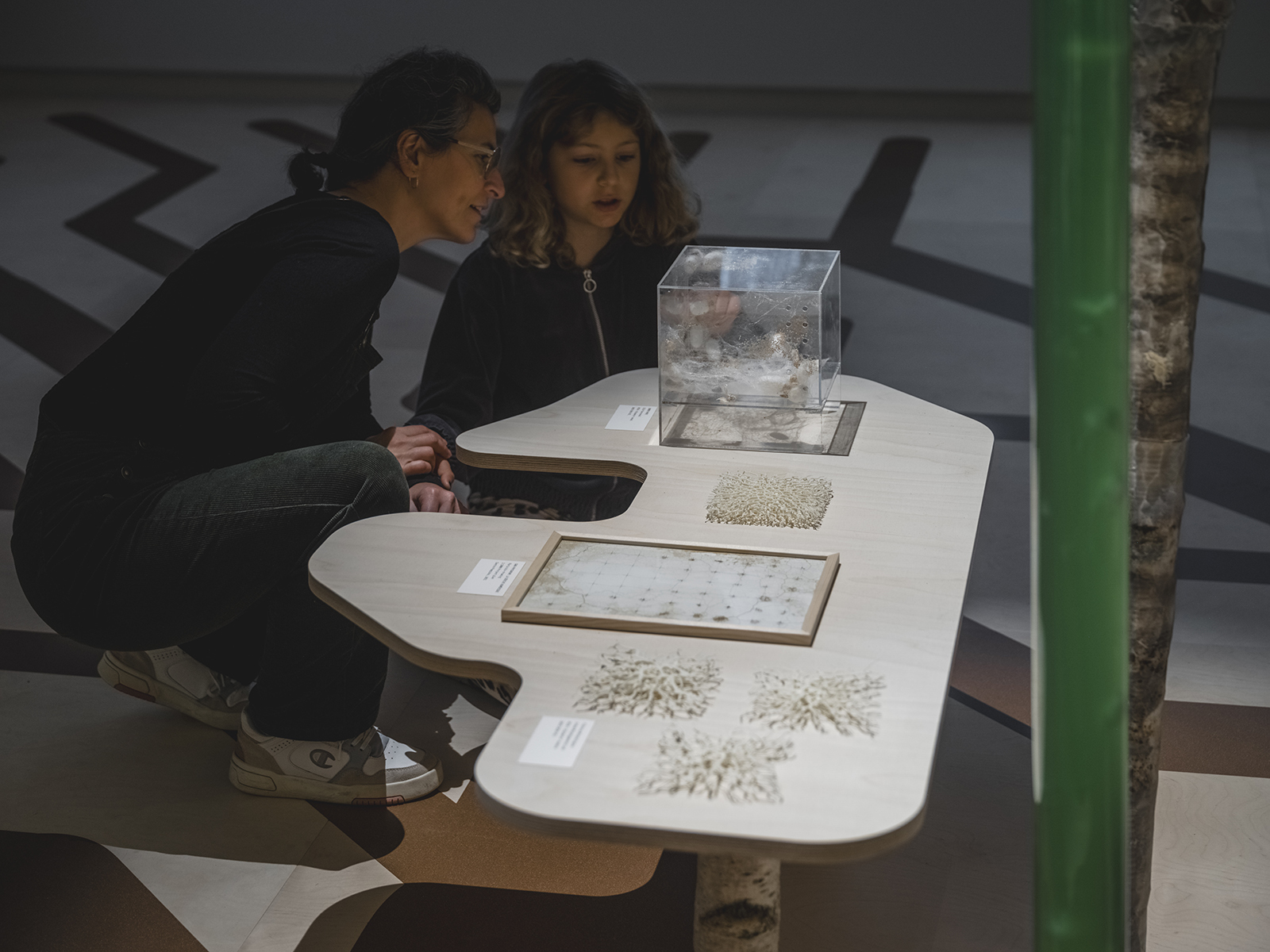 Gallery of A Bio-Digital Exploration: ecoLogicStudio Opens Deep Forest ...