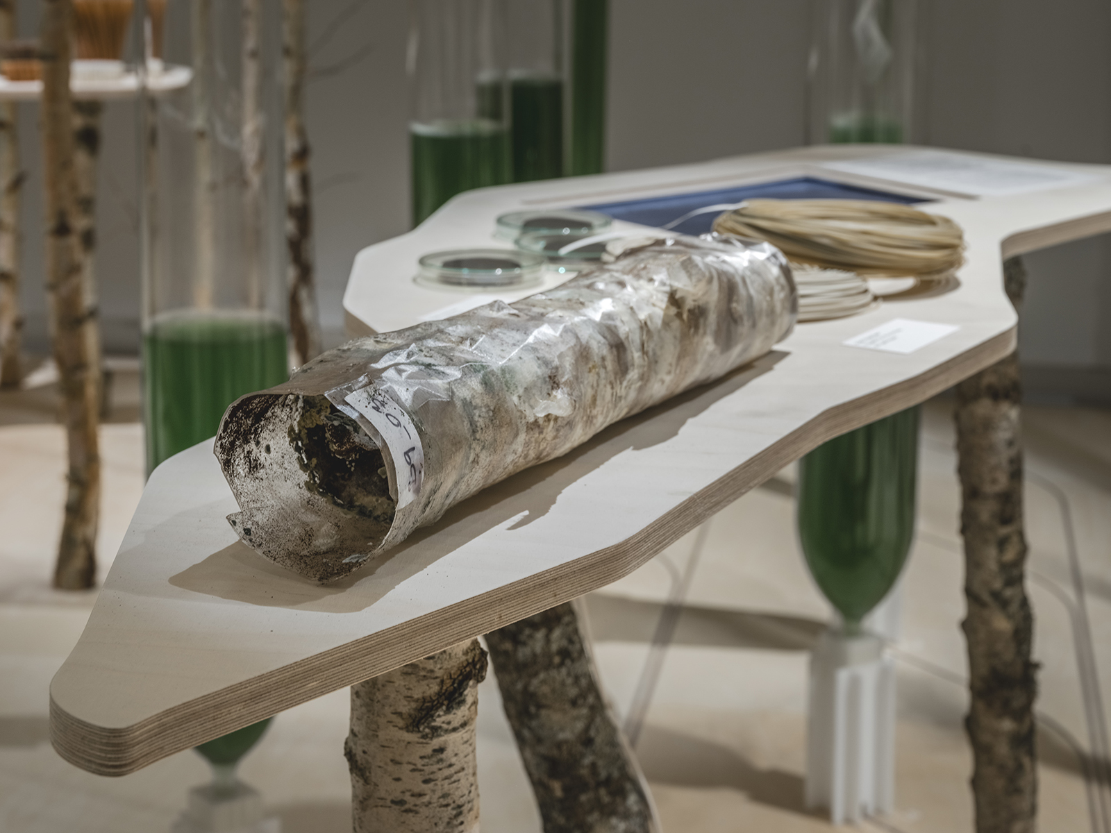 Gallery of A Bio-Digital Exploration: ecoLogicStudio Opens Deep Forest ...