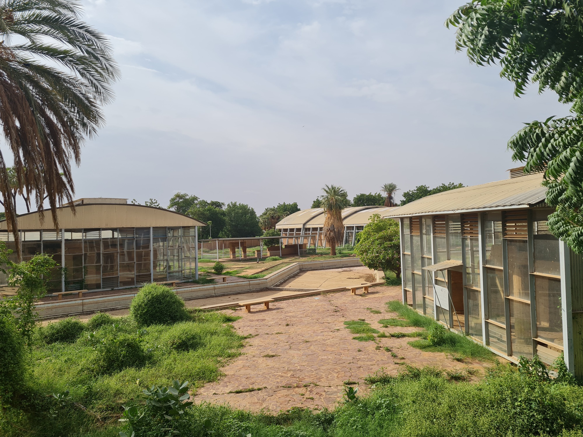 Gallery of Two African National Museums: National Identity Reflected in ...
