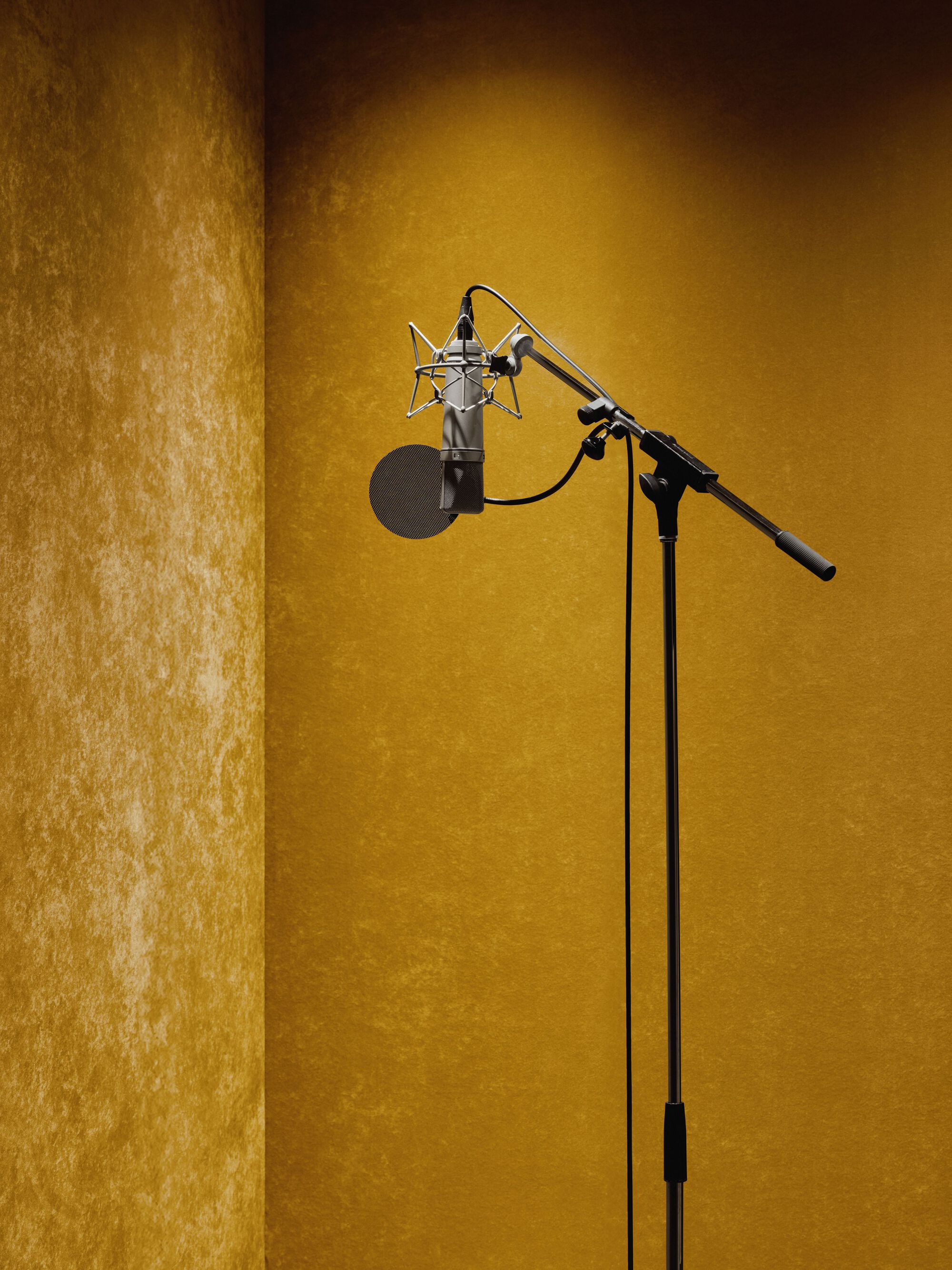 Gallery of Parade Studios / Ivy Studio - 15