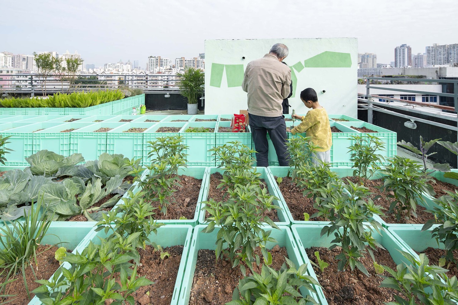 Gallery of Cultivating Spaces: Where Architecture Meets the Farm-to ...