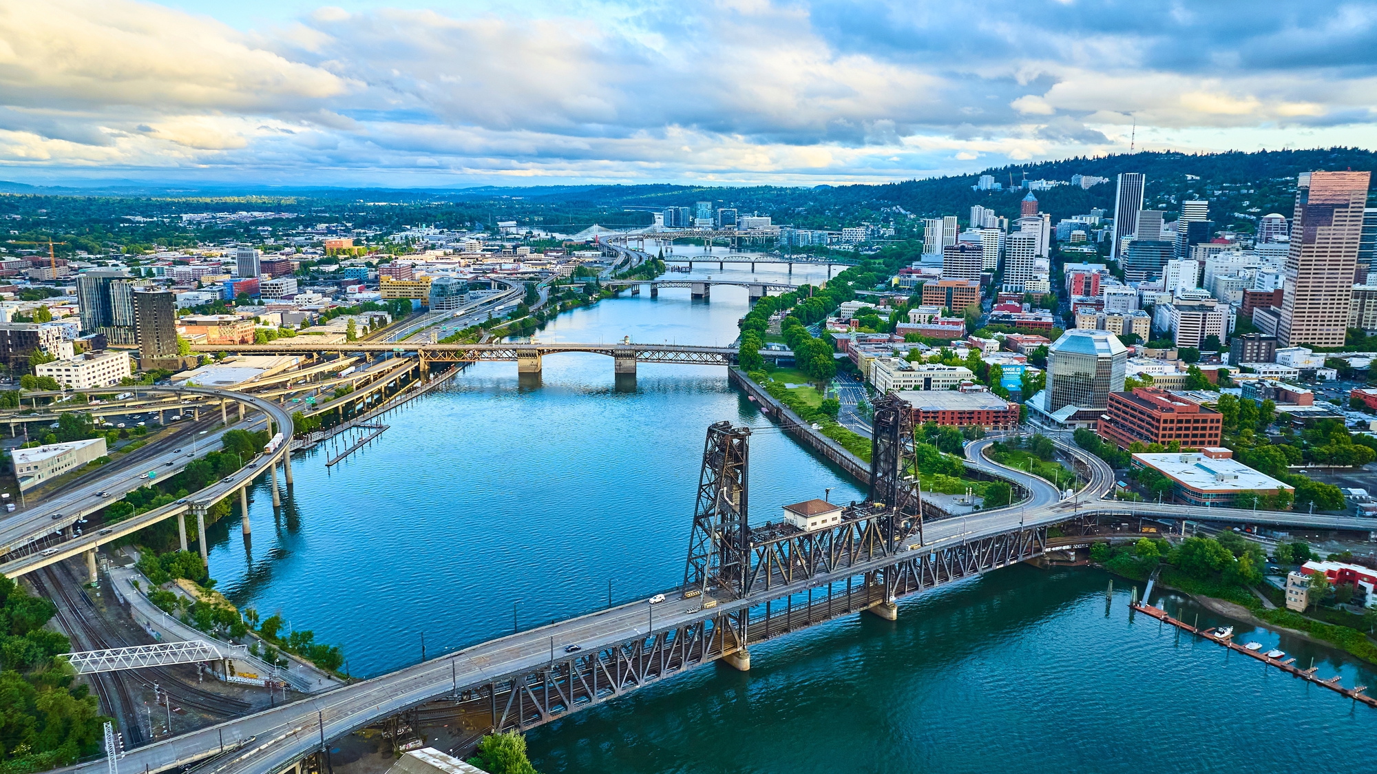 Gallery of From Concrete to Green Canopies: Revitalizing Cities Through ...