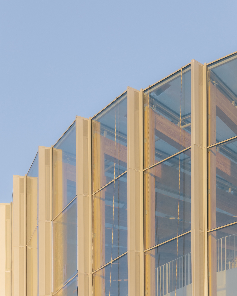 Gallery of Racine Office Building / Maud Caubet Architectes - 19