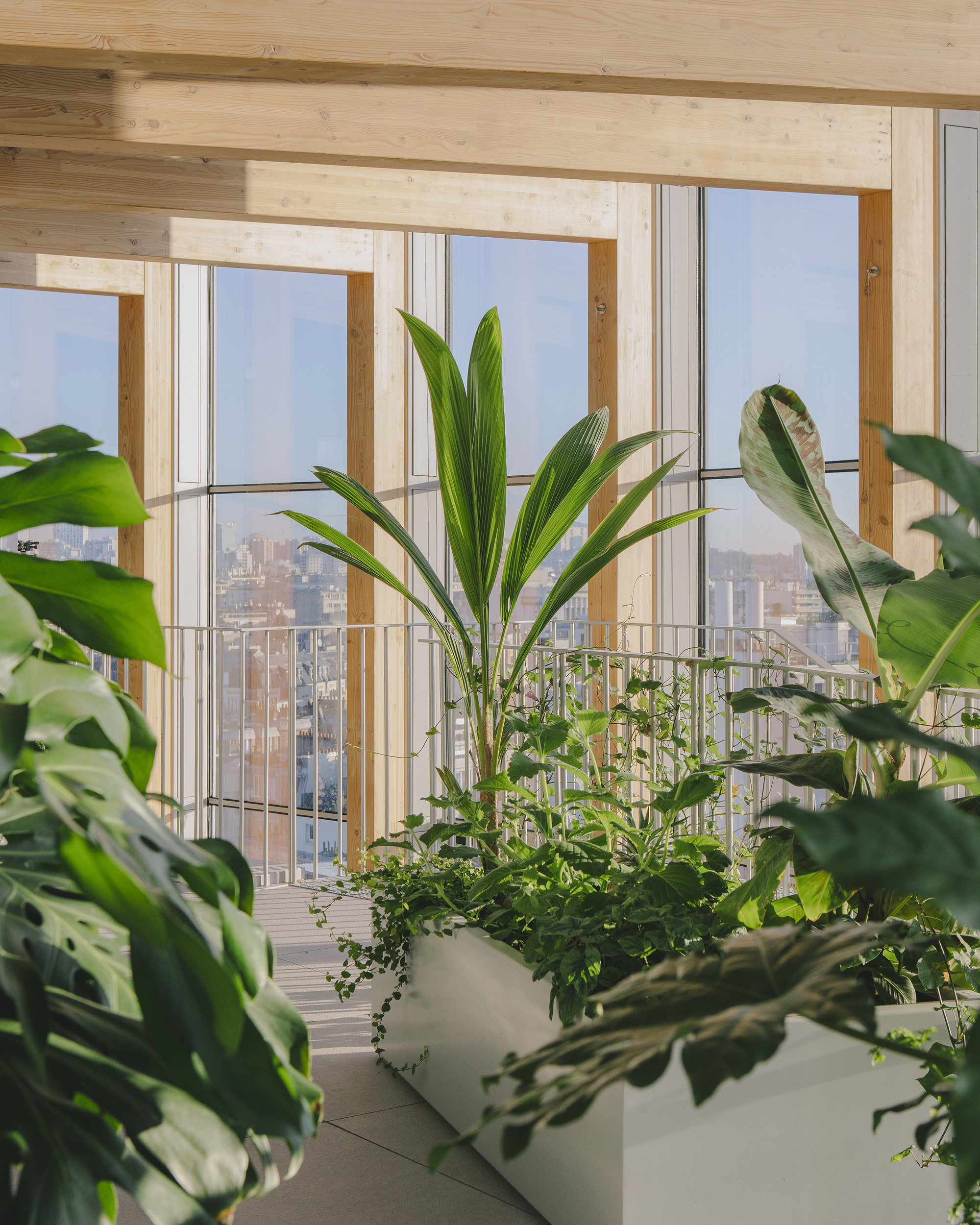 Gallery of Racine Office Building / Maud Caubet Architectes - 15