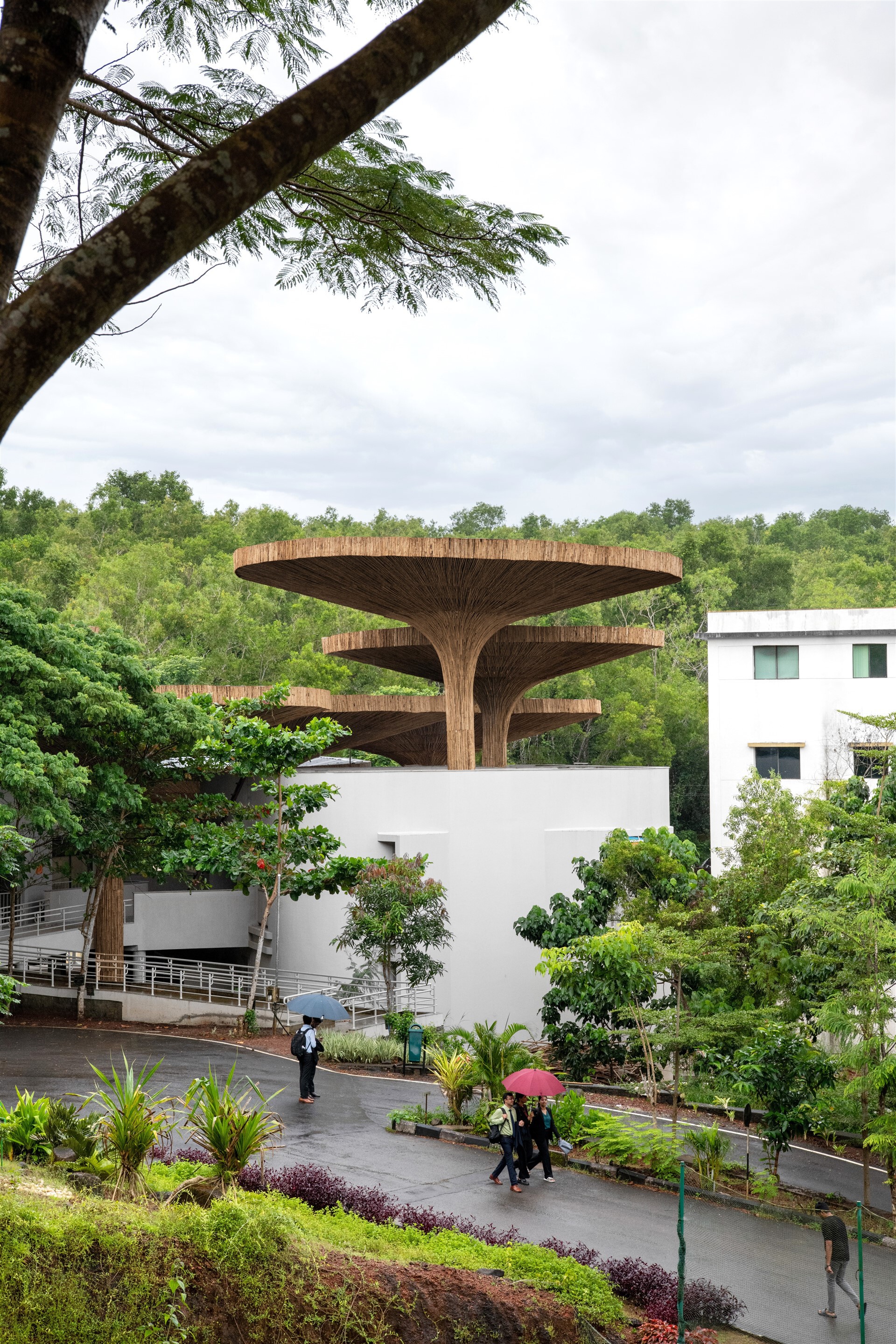 Gallery of Center for Inclusive Growth & Competitiveness for Tapmi/ The ...