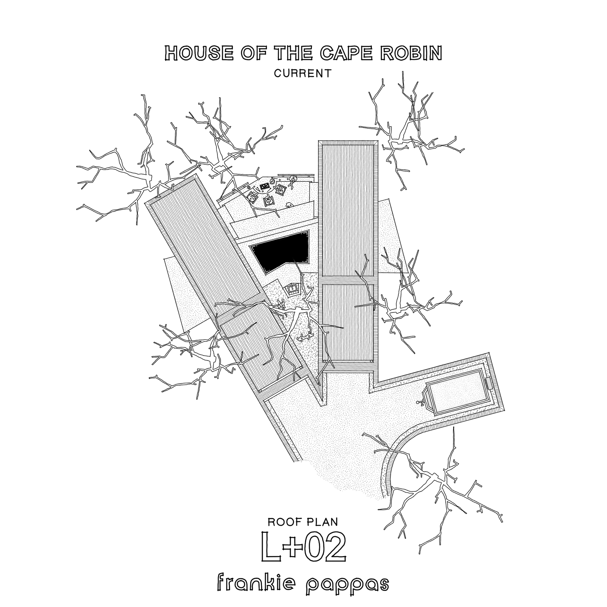 Gallery of House of the Cape Robin / Frankie Pappas - 24