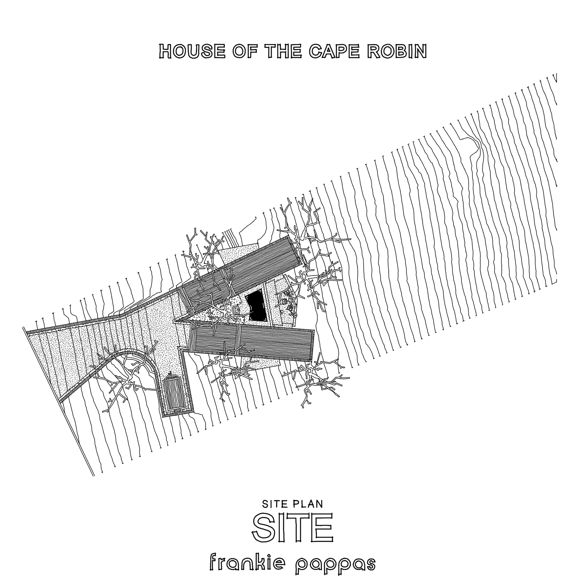 Gallery of House of the Cape Robin / Frankie Pappas - 14