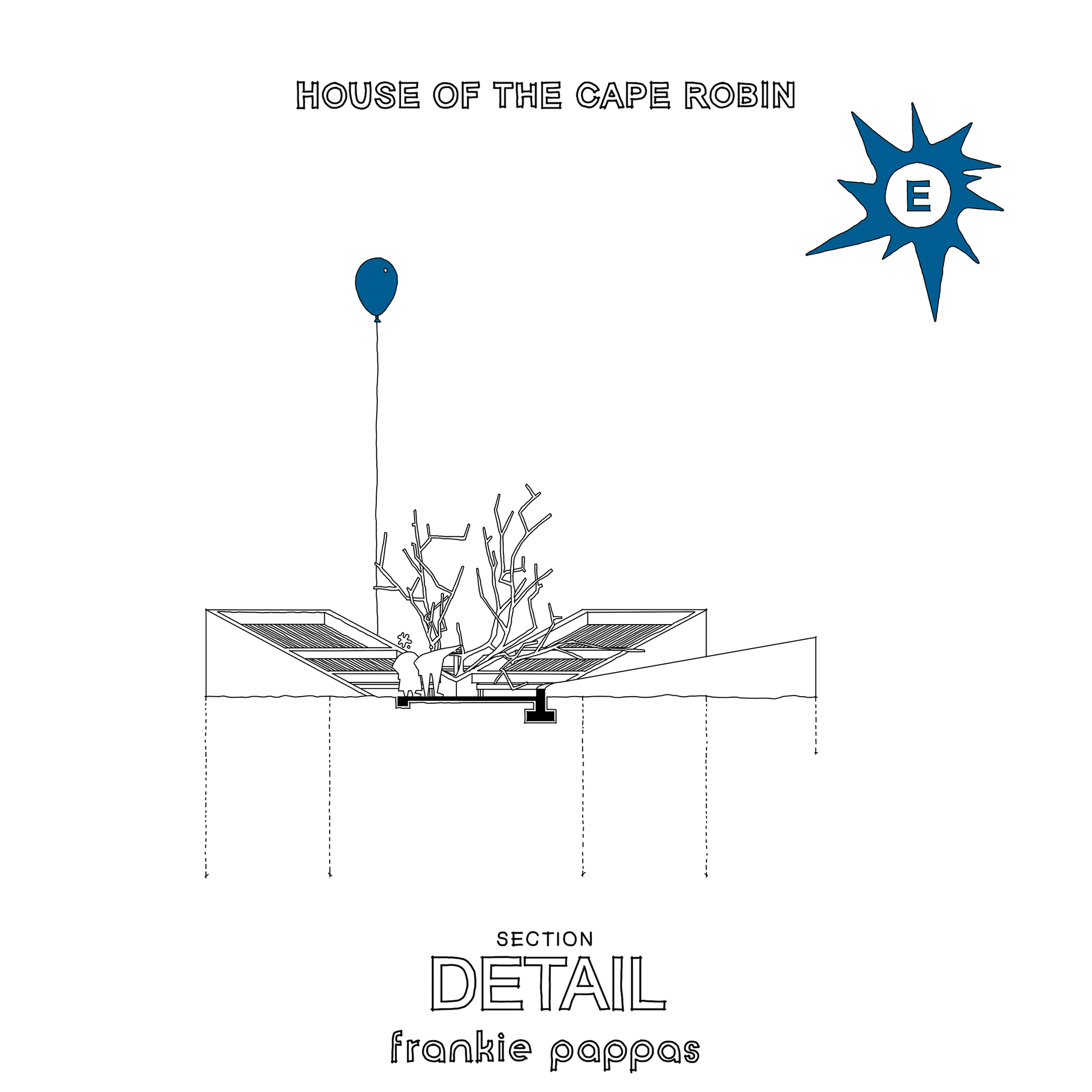 Gallery of House of the Cape Robin / Frankie Pappas - 28