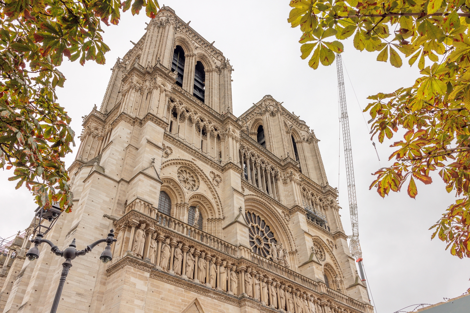 Gallery of Notre Dame Rebuilt: A Journey of Restoration for France's ...