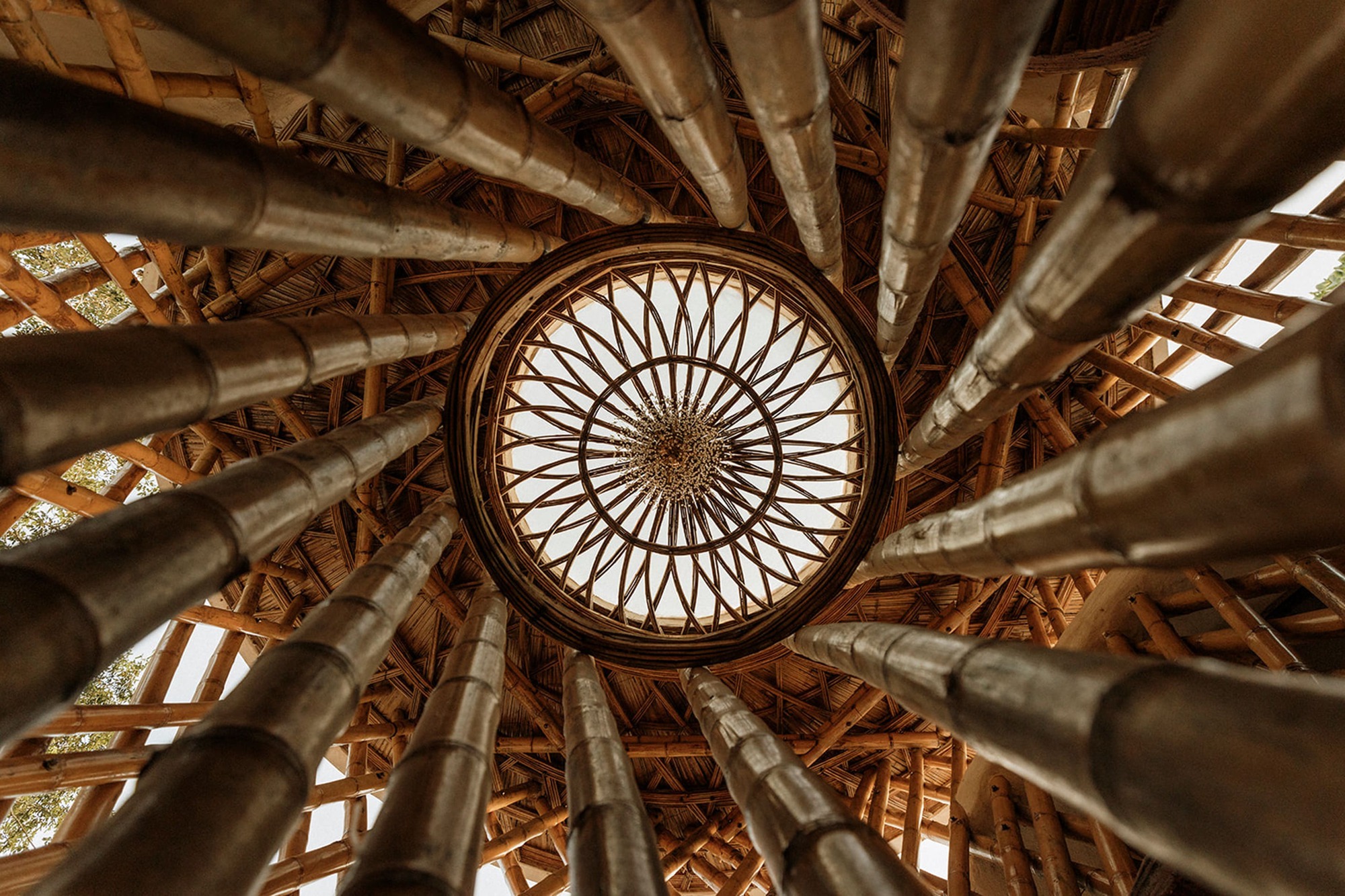 Gallery of The Trillium Awakening / NOD Studio - 9