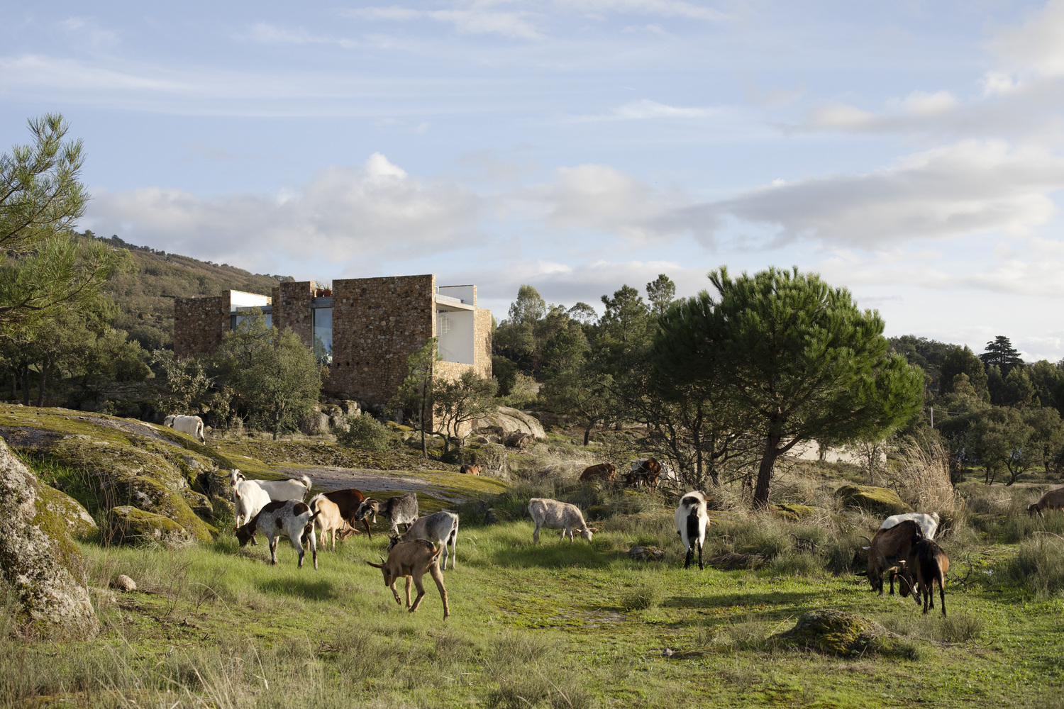 Galería de Casa estudio en Castelo de Vide / Atelier Landauer - 18