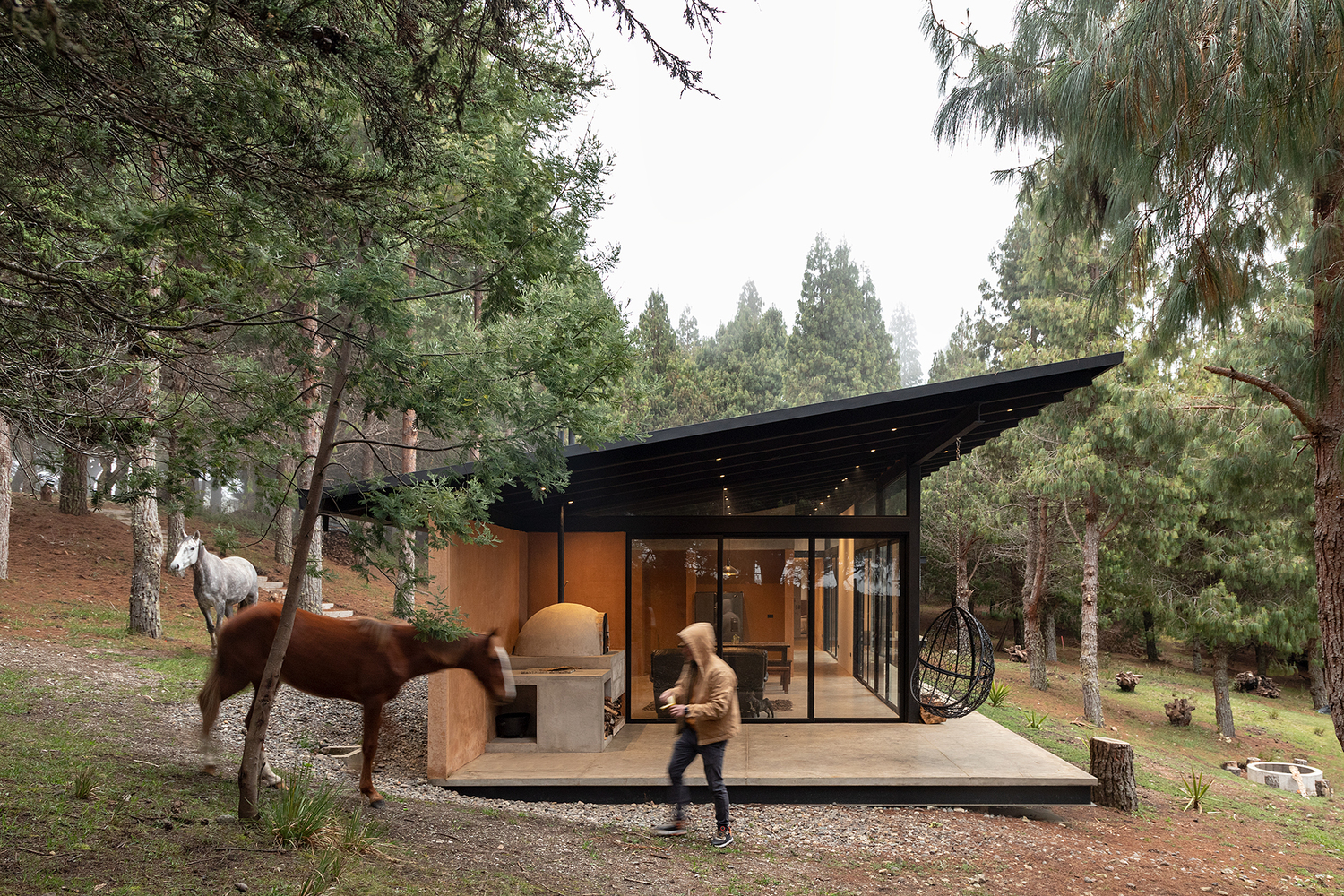 Gallery of The 50 Best Latin American Houses of 2024 - 55