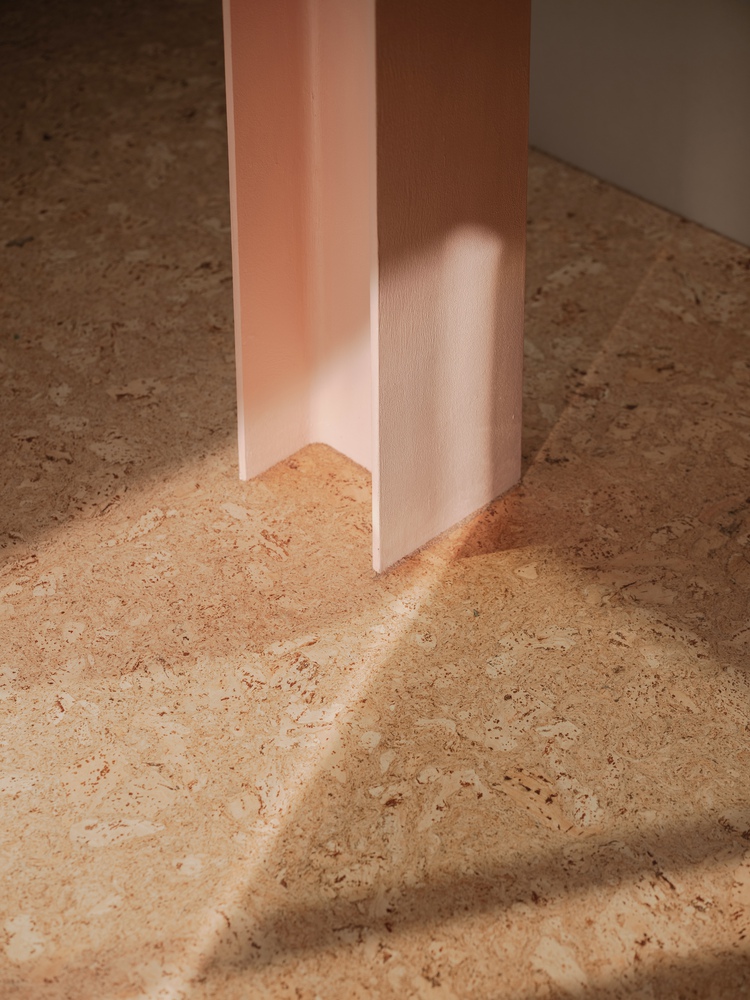 Gallery of Forest Gate House / LSD Architects - 12