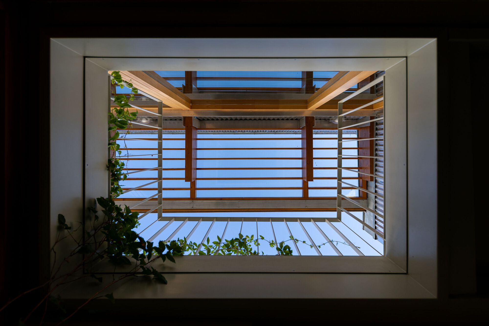 Galería de Casa Atelier 111 / André Simão & Nuno Bessa - 30