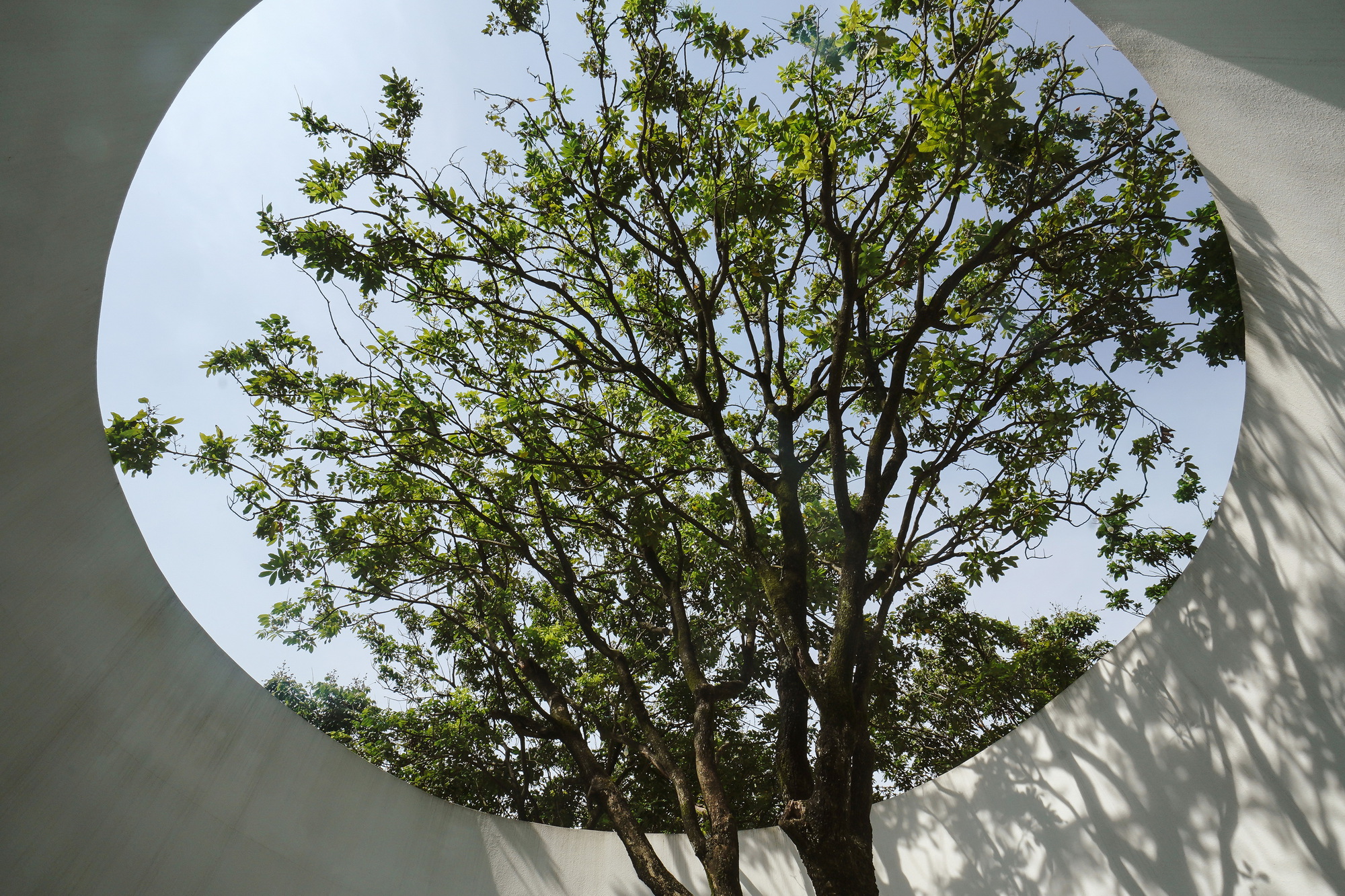 Gallery of Courtyard under Longan Trees / Spacework Architects - 27
