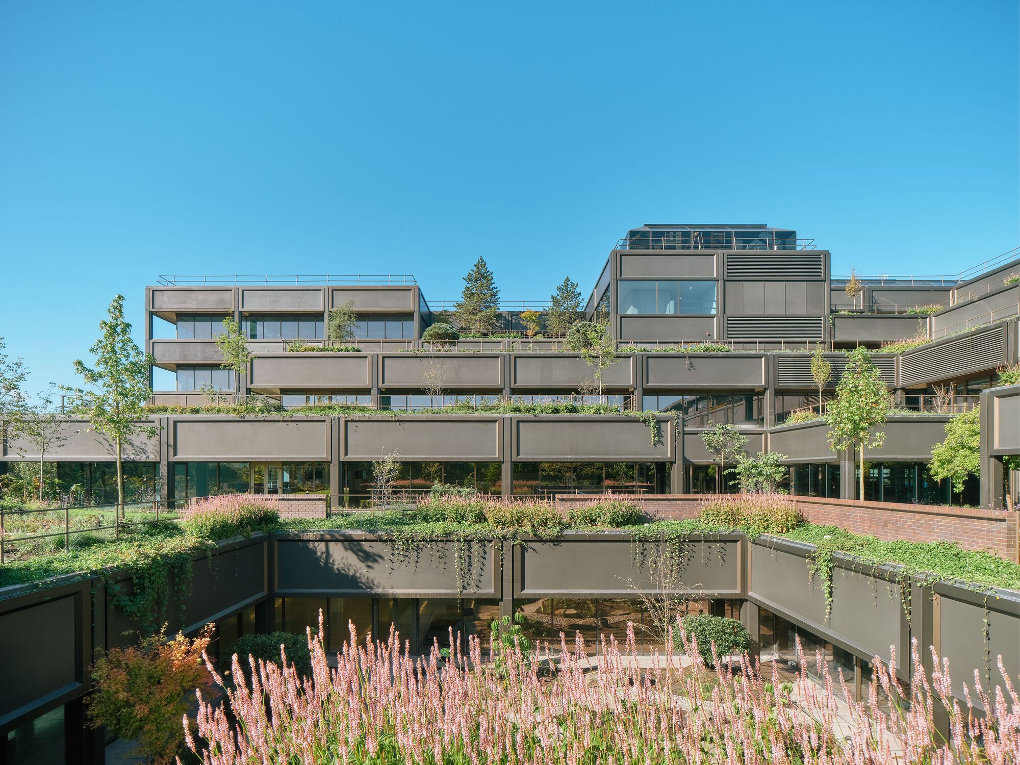 Plant Basingstoke Offices and Garden Restoration / Studio Knight Stokoe ...