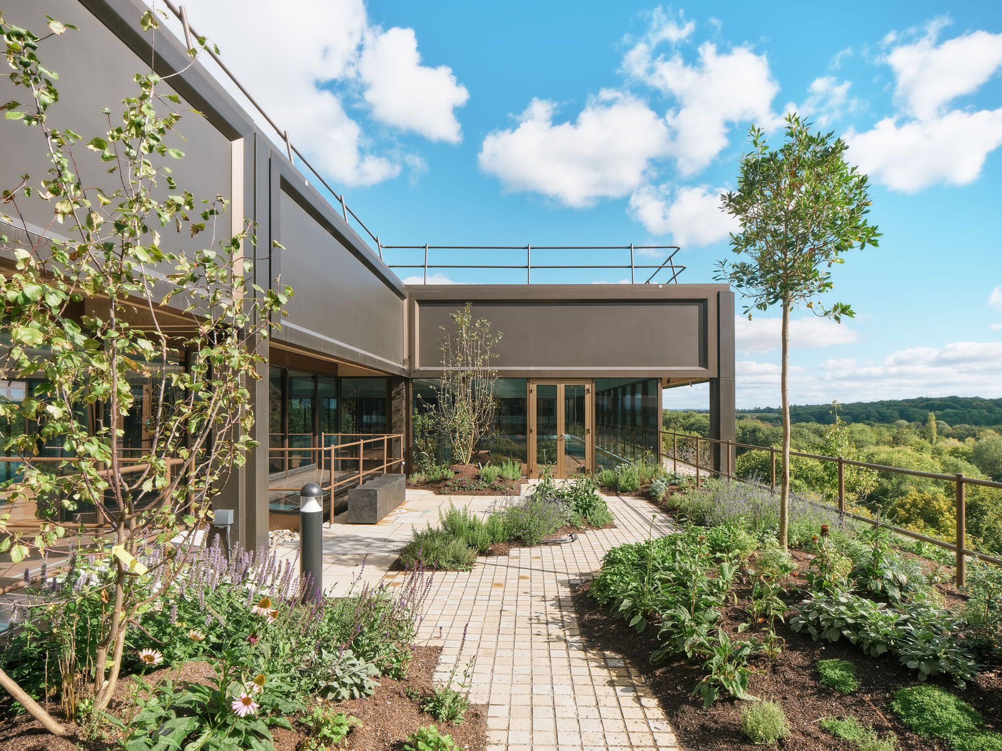 Gallery of Plant Basingstoke Offices and Garden Restoration / Studio ...