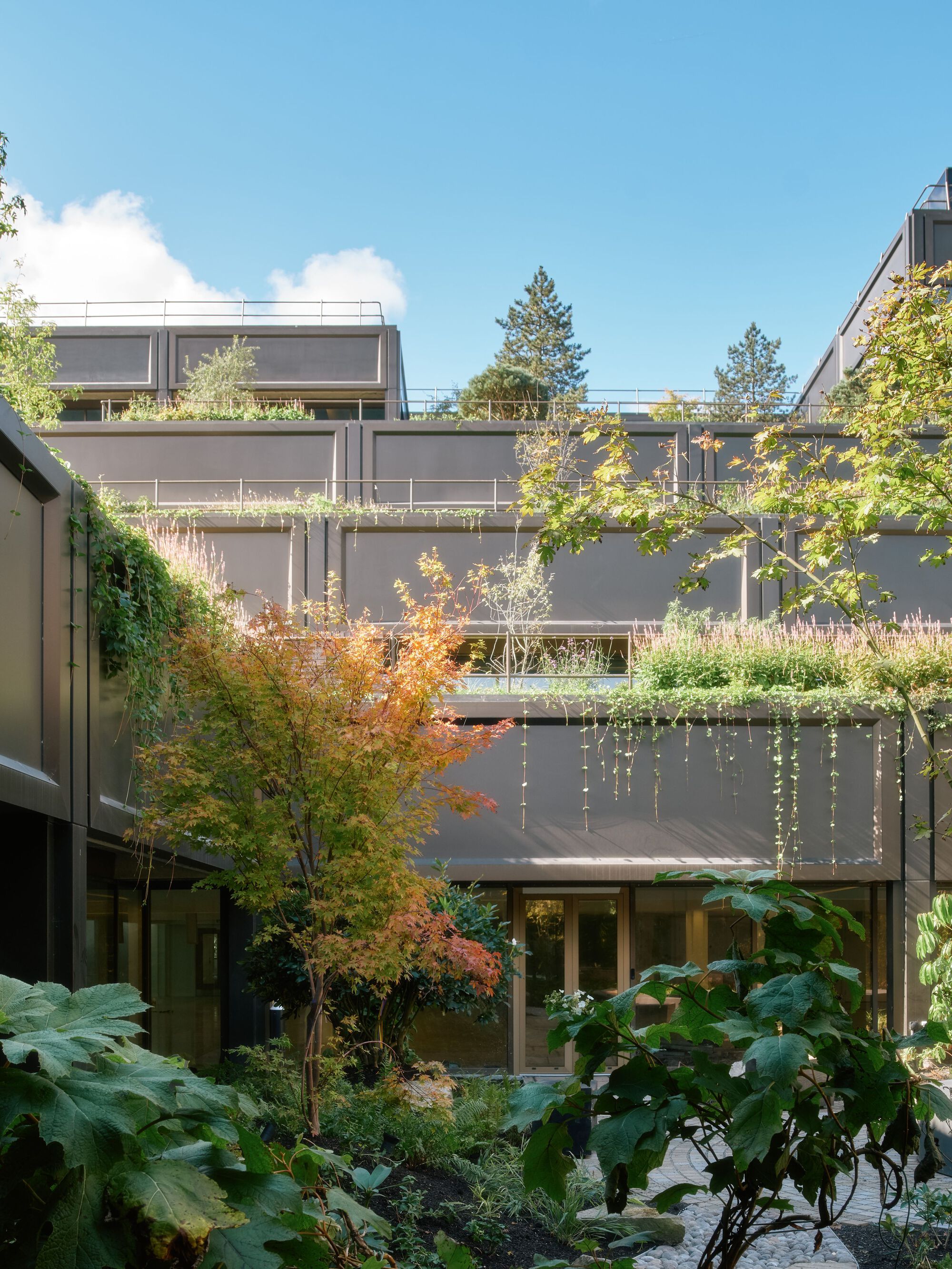 Gallery of Plant Basingstoke Offices and Garden Restoration / Studio ...