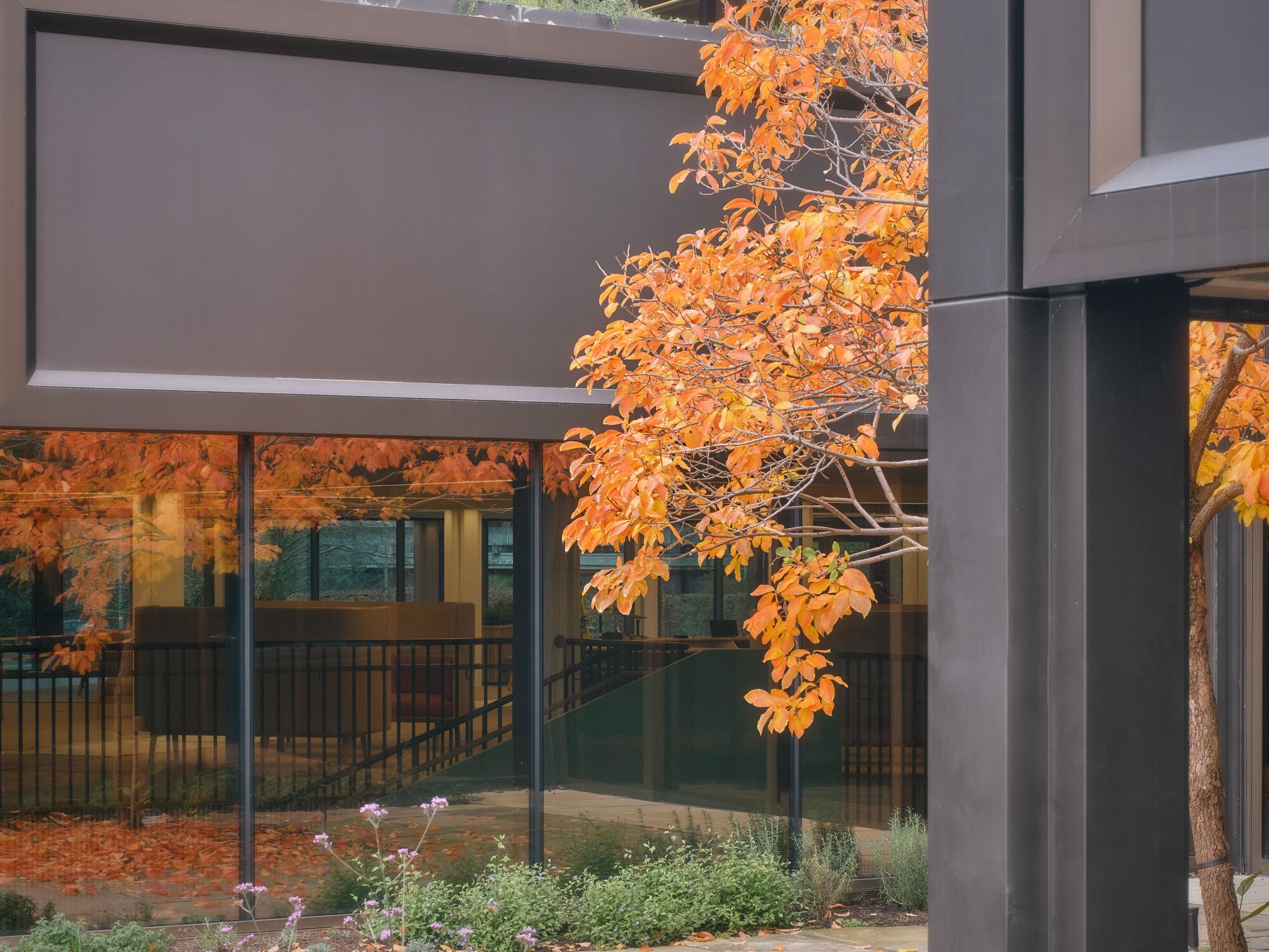 Gallery of Plant Basingstoke Offices and Garden Restoration / Studio ...