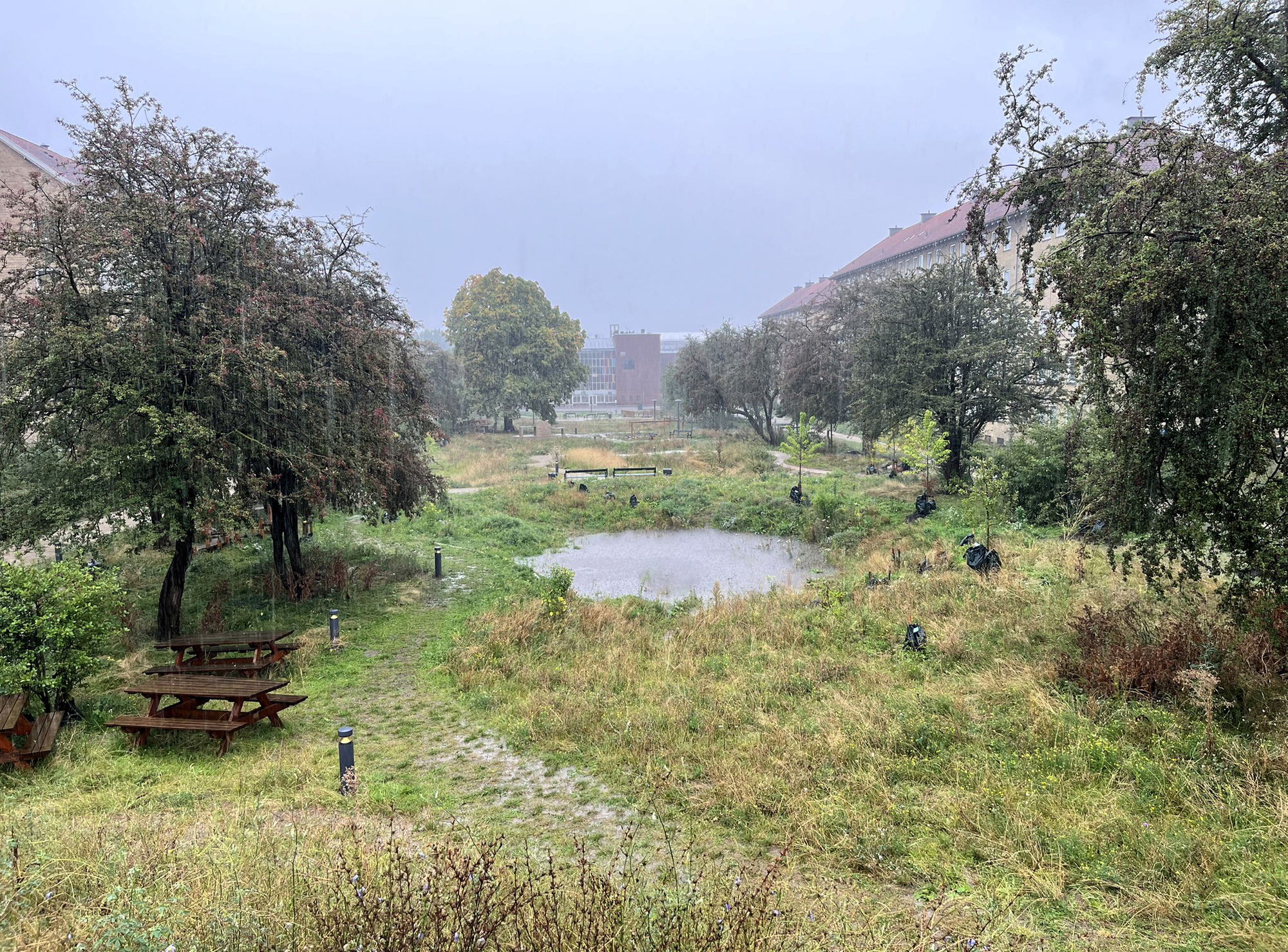Galeria de Parque Climático Grønningen-Bispeparken / SLA - 13