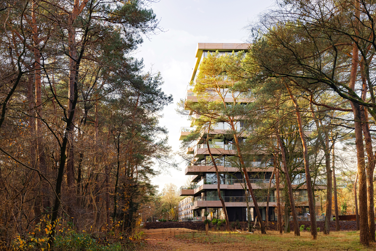 Gallery of Beaufort Residential Tower / Orange Architects - 13