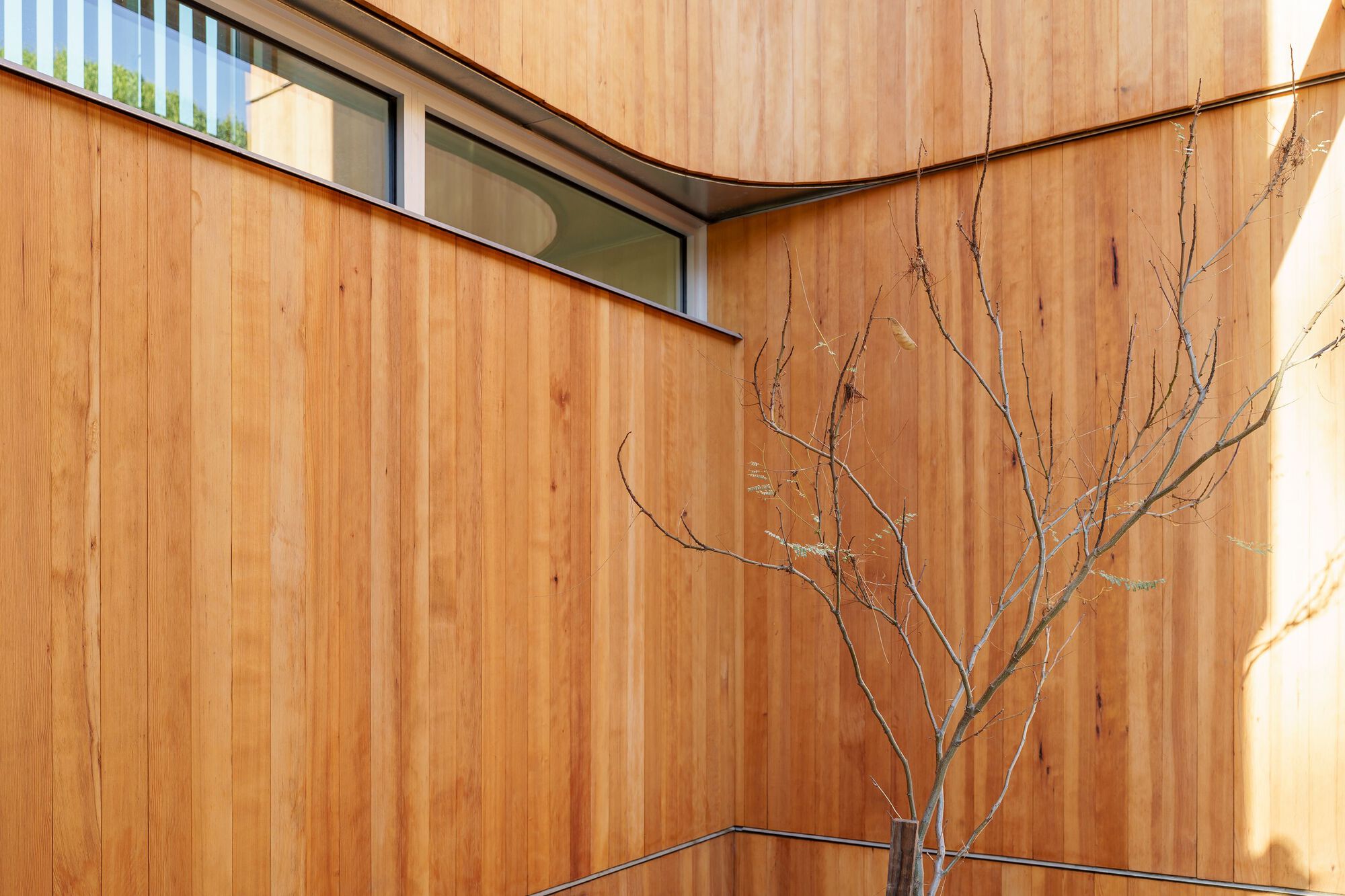 Galeria de Residência Ashland / Dimster Architecture - 22