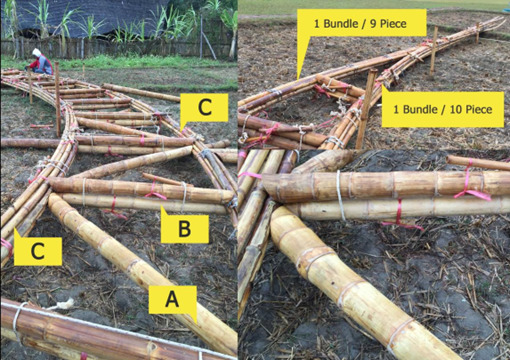 Gallery of Keys to Bamboo Engineering in Structural Design: The Case of Panyaden Hall - 8