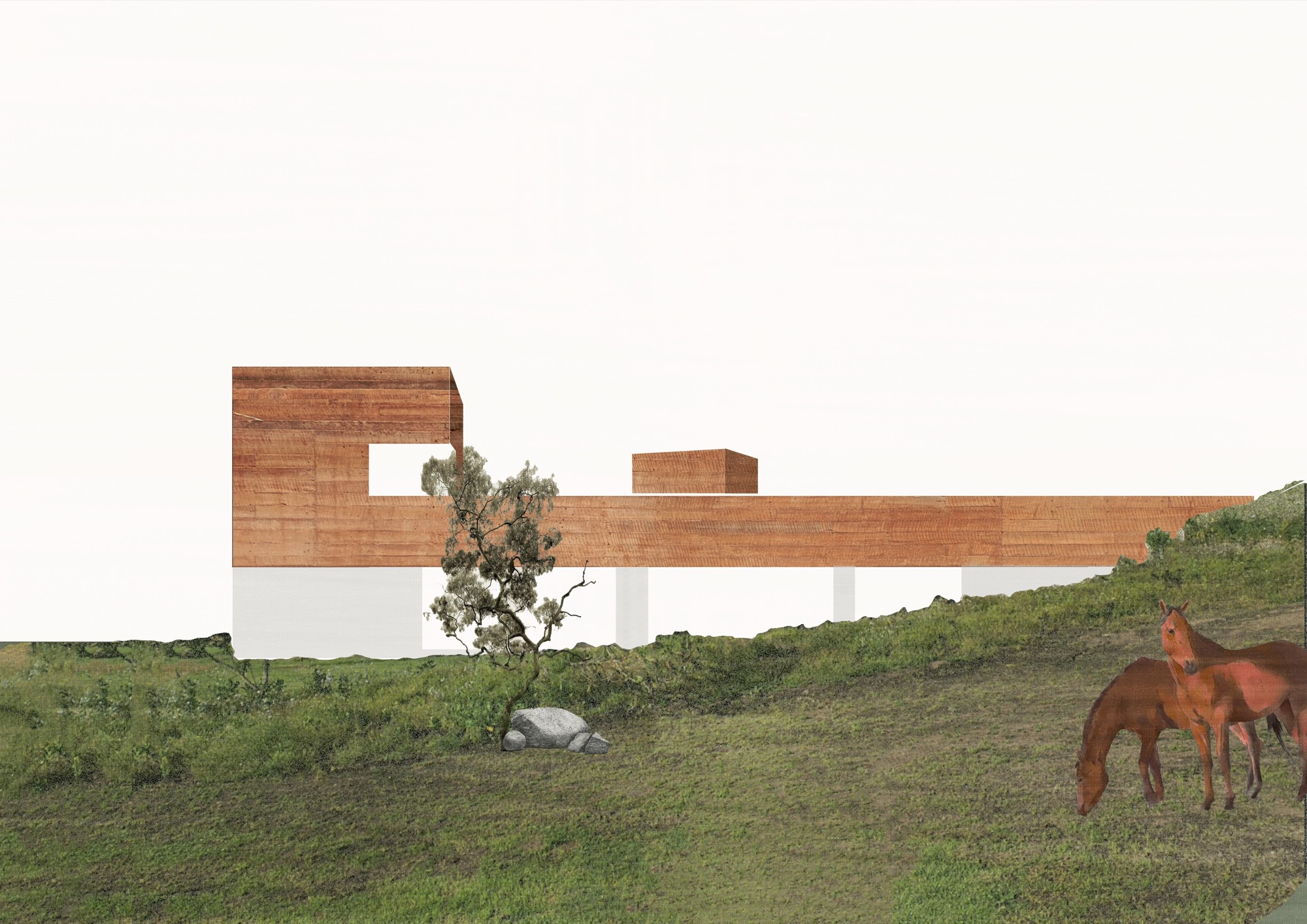 Gallery of The Pasture House / Diez + Muller Arquitectos - 42