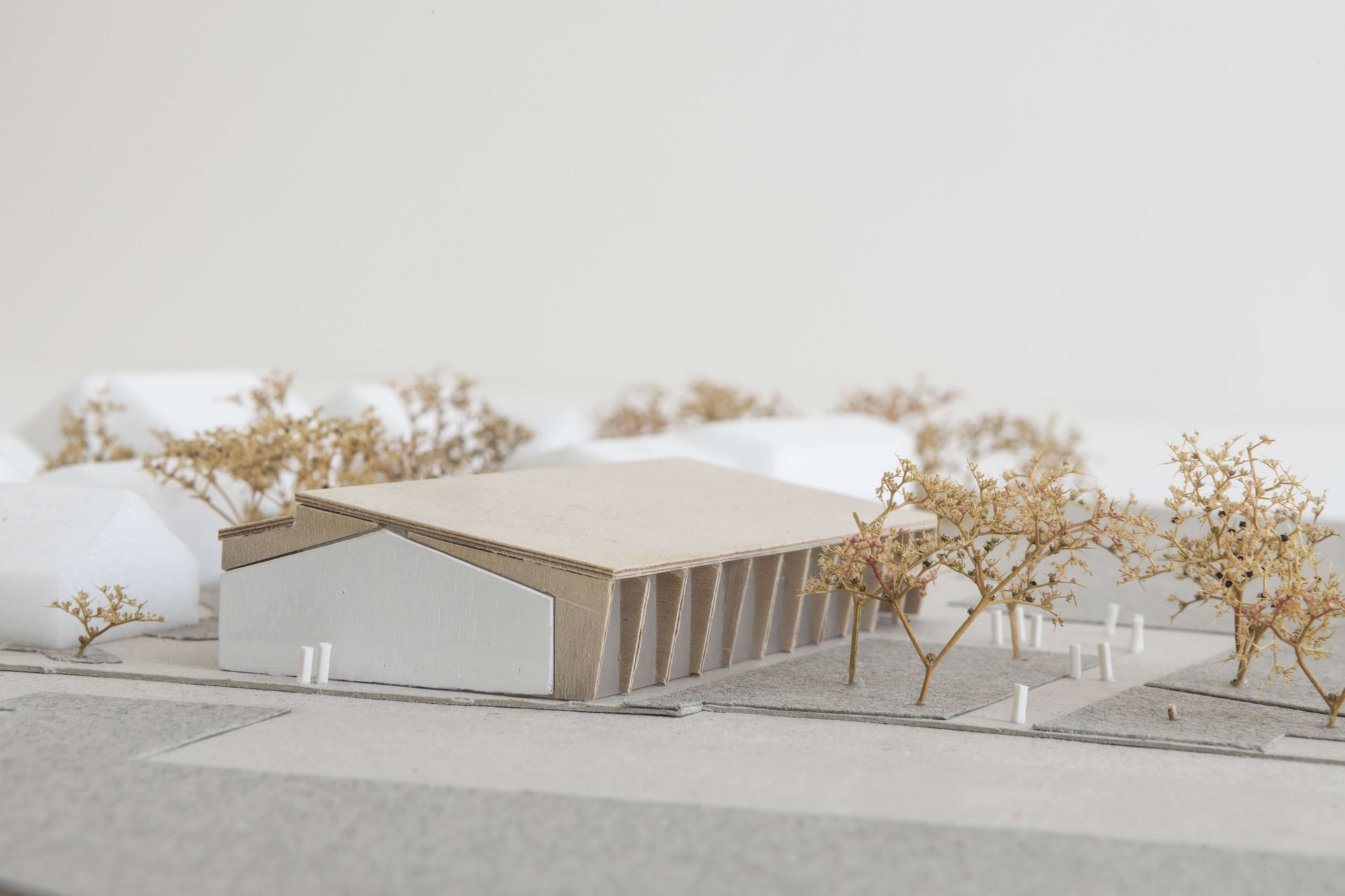 Gallery of Multi-Purpose Hall Ingerkingen / Atelier Kaiser Shen - 37
