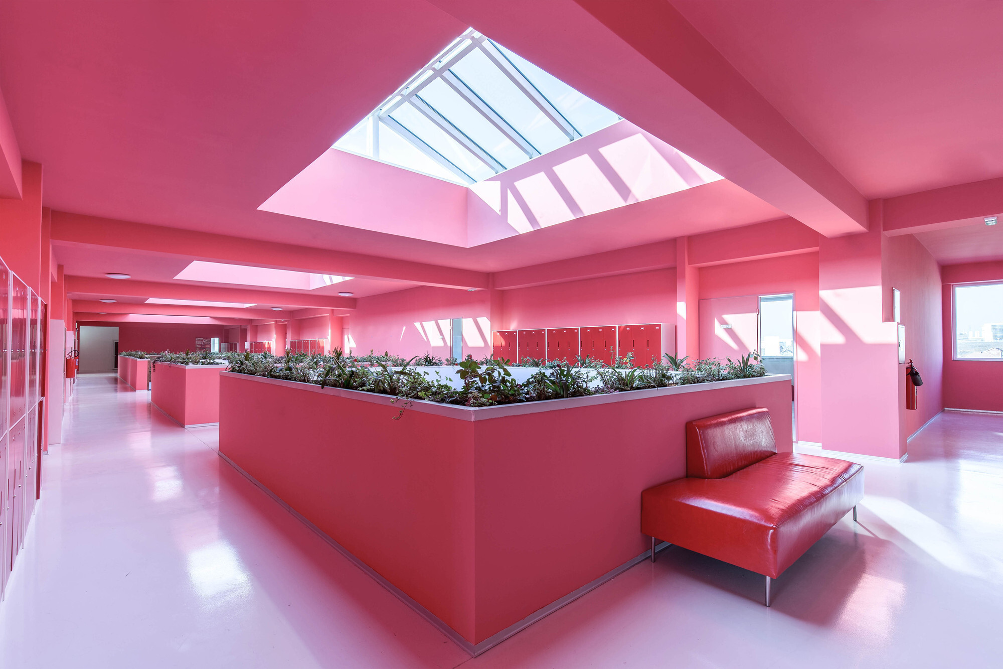 pink architect