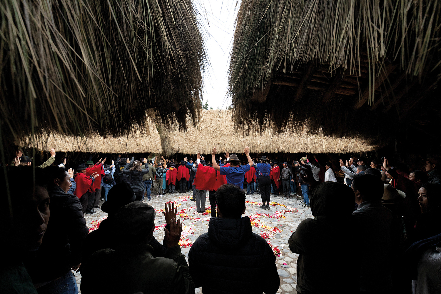 Gallery of The 15 Winners of the ArchDaily 2025 Building of the Year ...