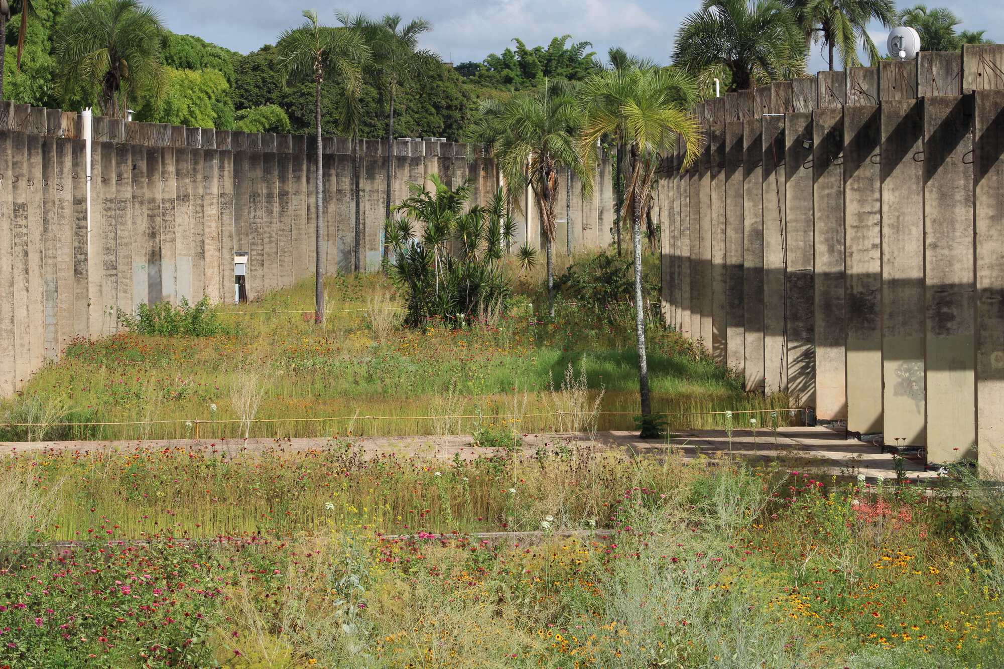 "Architecture as a Cultural Artifact": Brazil Announces Participation ...