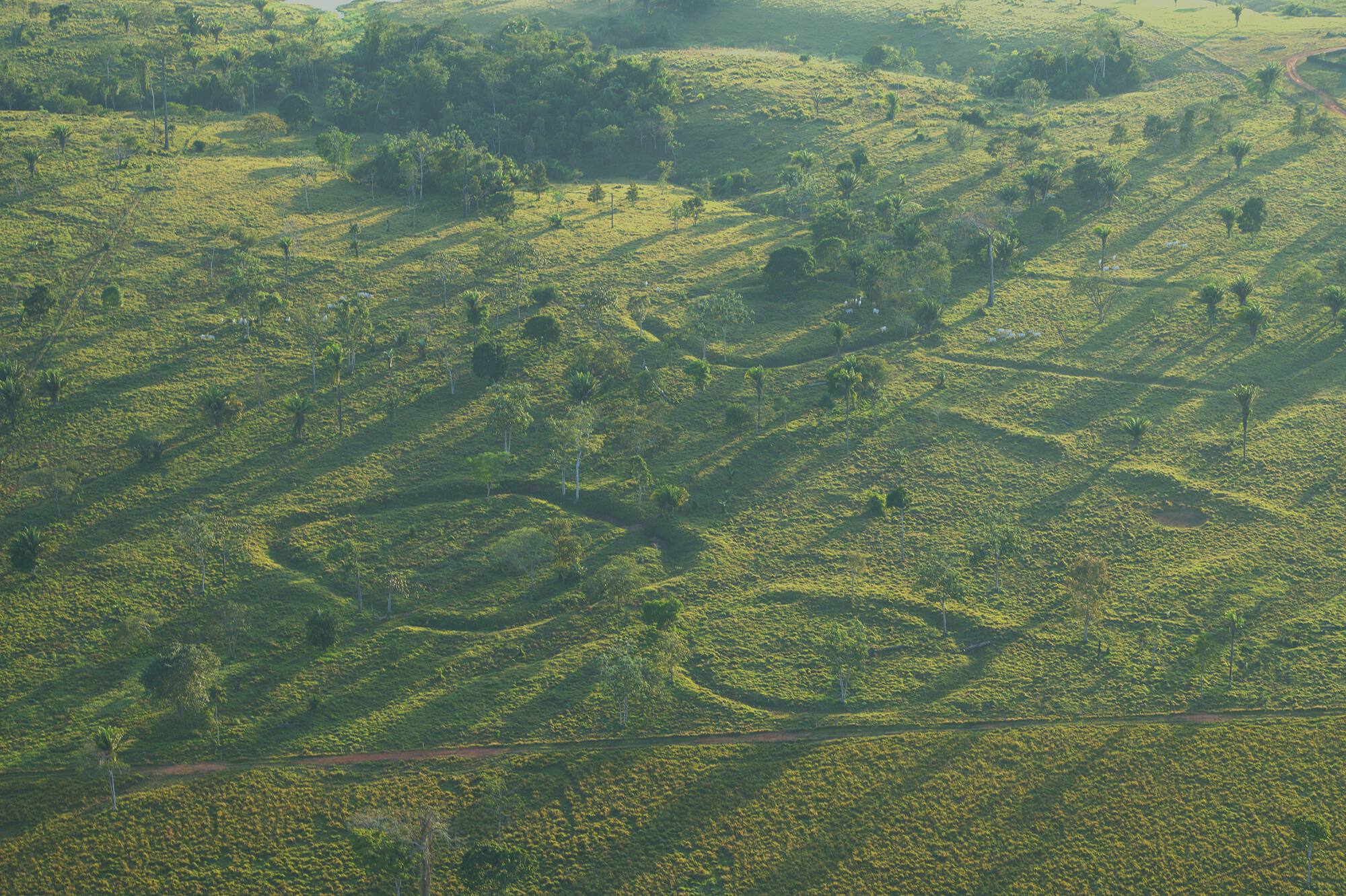 Gallery of "Architecture as a Cultural Artifact": Brazil Announces ...