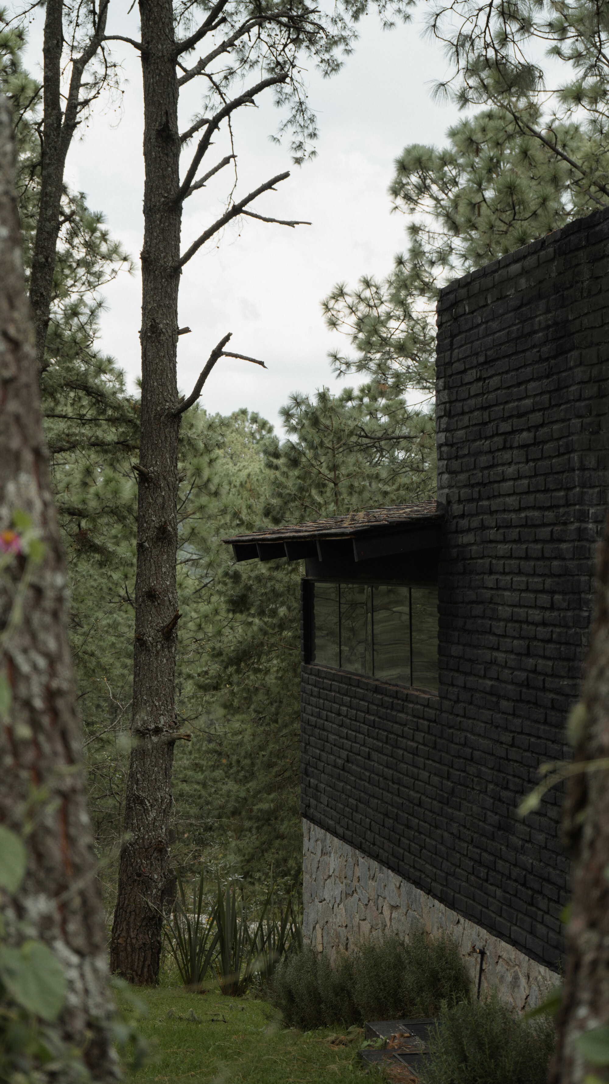 Galería de Casa Emilia / herchell arquitectos - 8