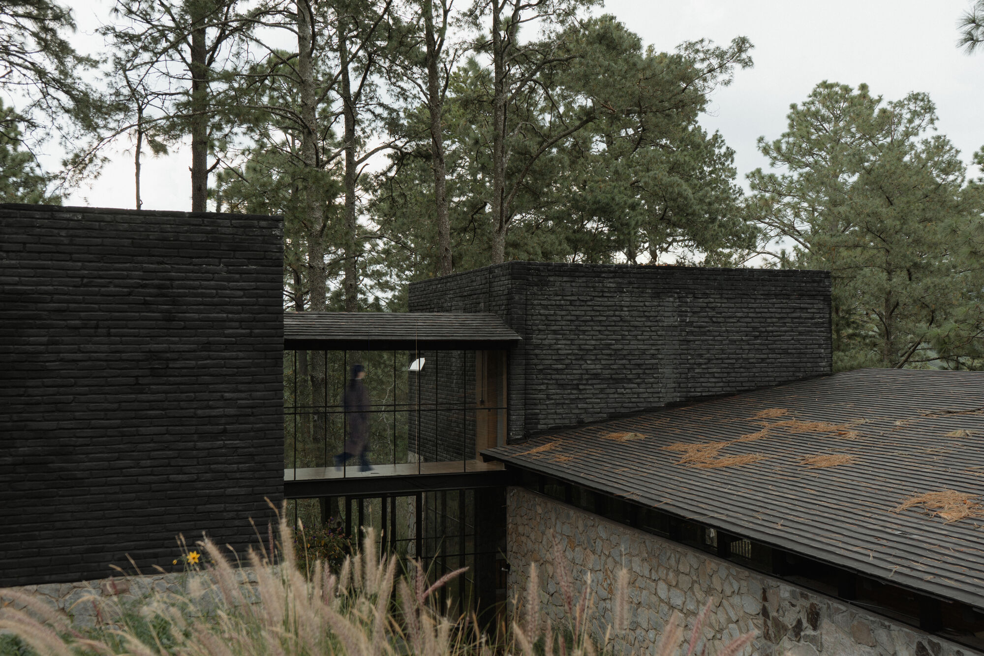 Galería de Casa Emilia / herchell arquitectos - 6