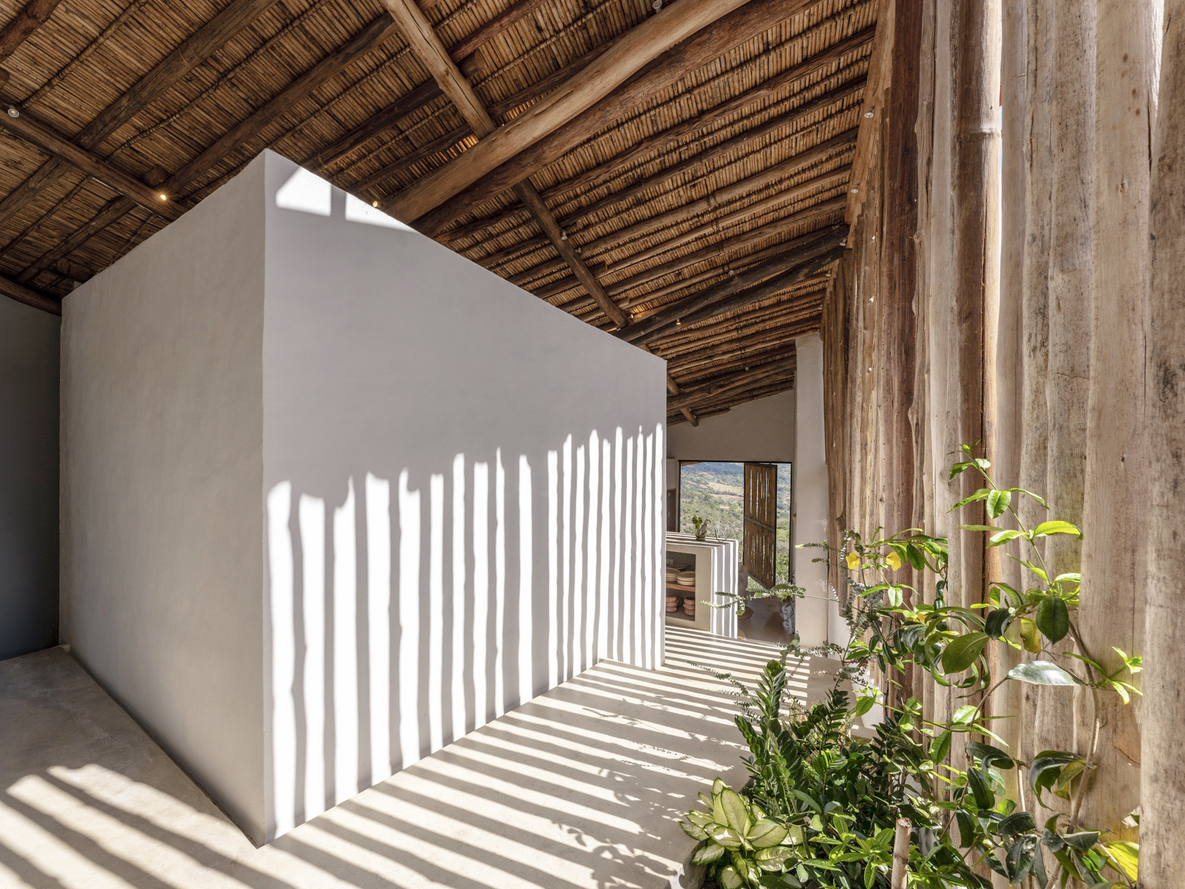 Galería de Casa La hoja sobre el cerro / Alsar Atelier + GB Urban Studio - 15