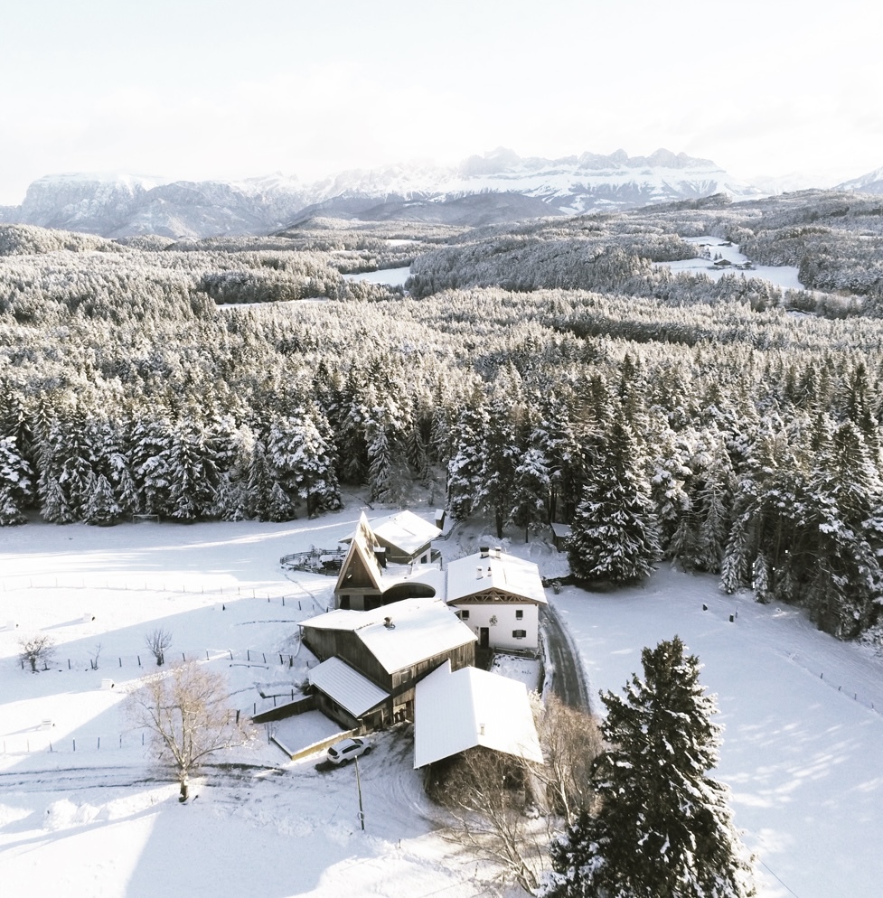 Gallery of BS Hof House / Alpina Architects - 18