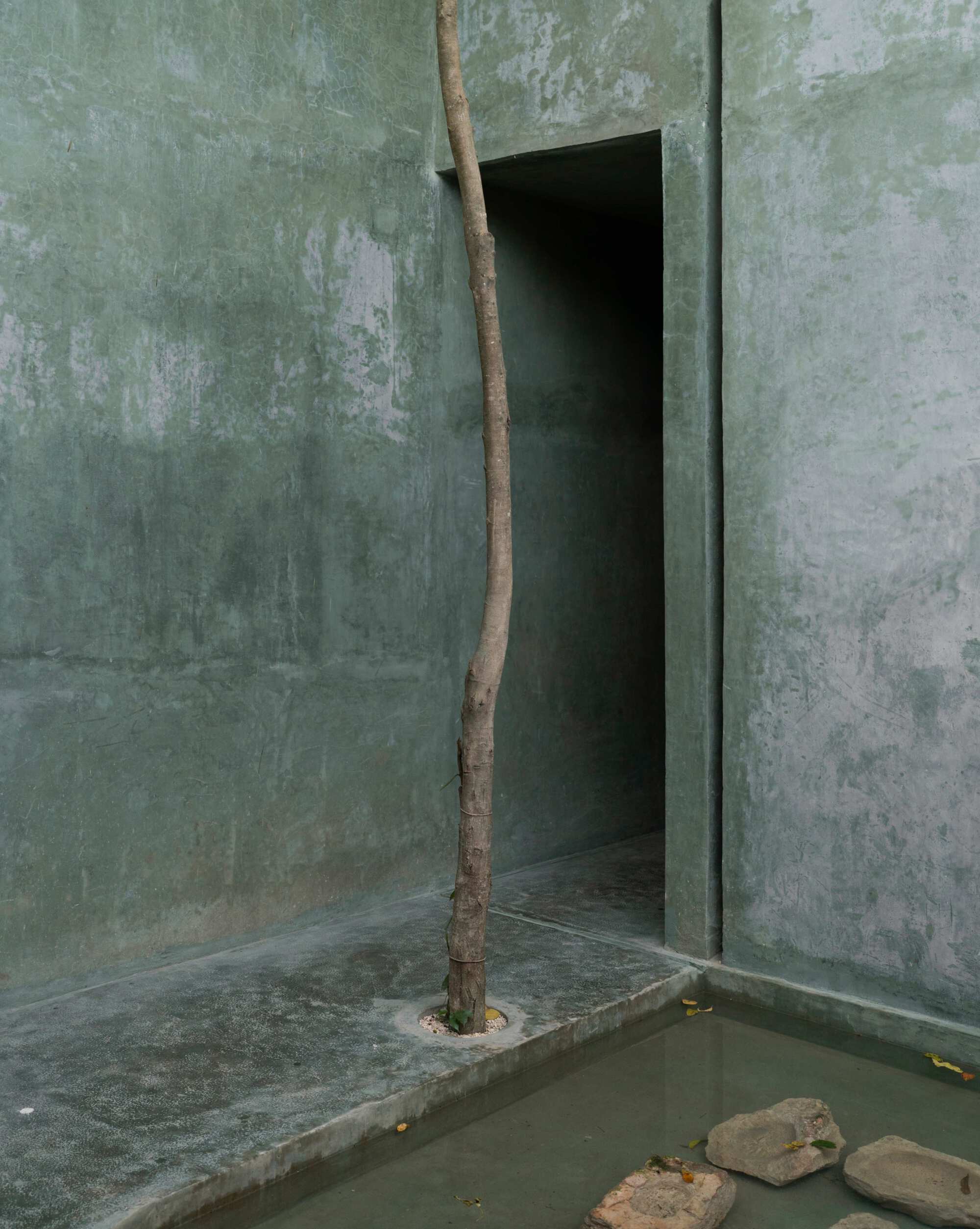 Galeria de Casa Gruta / Salvador Román Hernández + Adela Mortéra ...