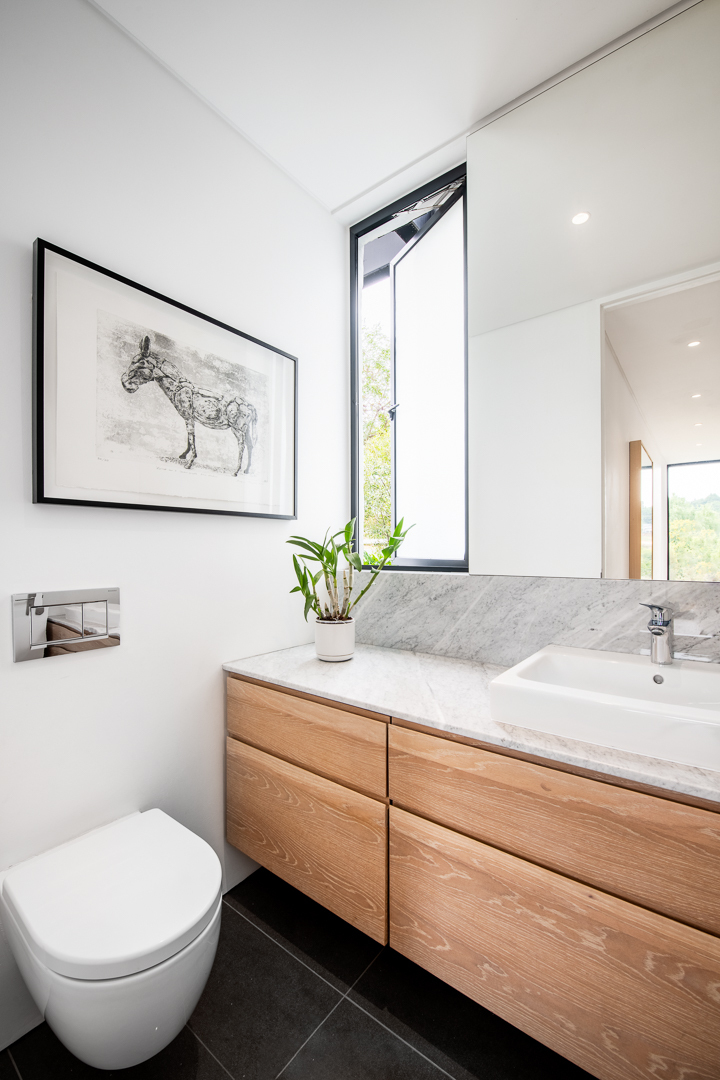 Gallery of House Steynberg / Two Five Five Architects - 25