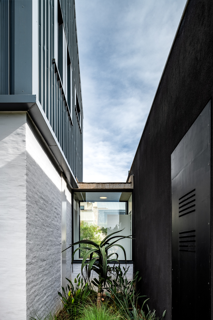 Gallery of House Steynberg / Two Five Five Architects - 54