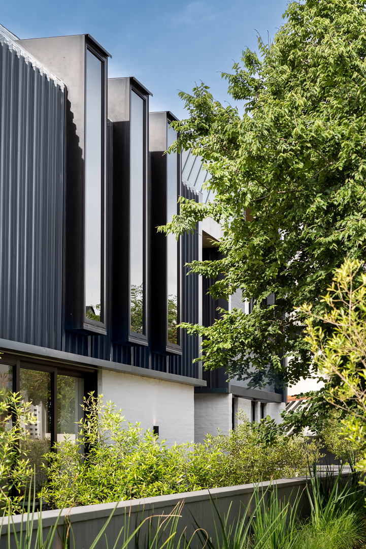 Gallery of House Steynberg / Two Five Five Architects - 48