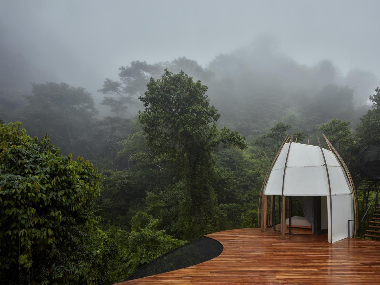 Gallery of Forest Futures: Rethinking Architecture of Forest Ecosystems ...