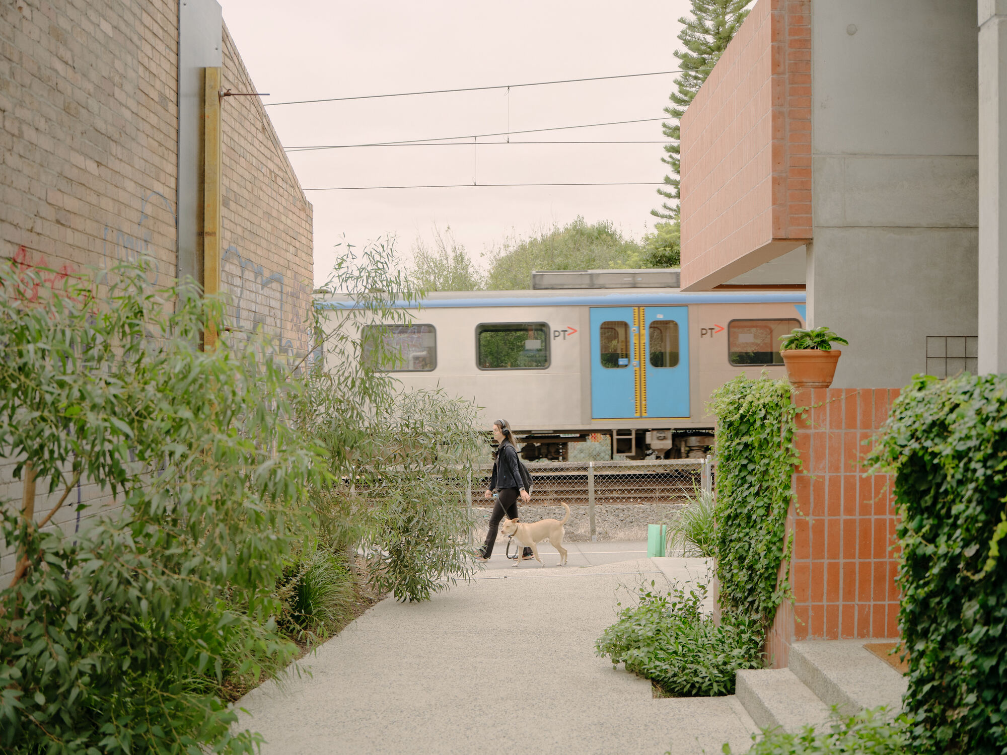 Gallery of Nightingale Village Leftfield / Kennedy Nolan Architects - 14