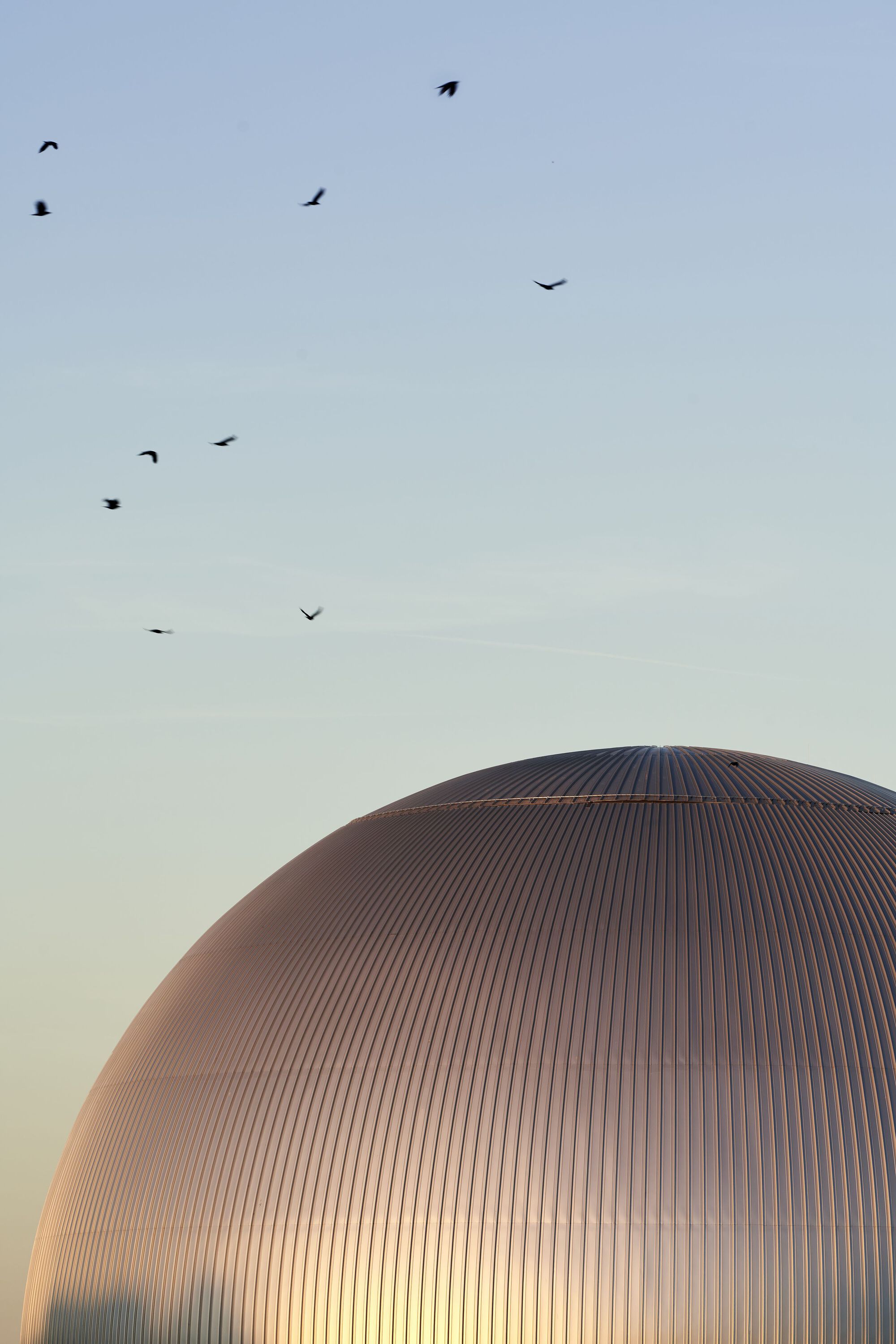 Gallery of Airship Hangar Replacement Construction / Smyk Fischer ...