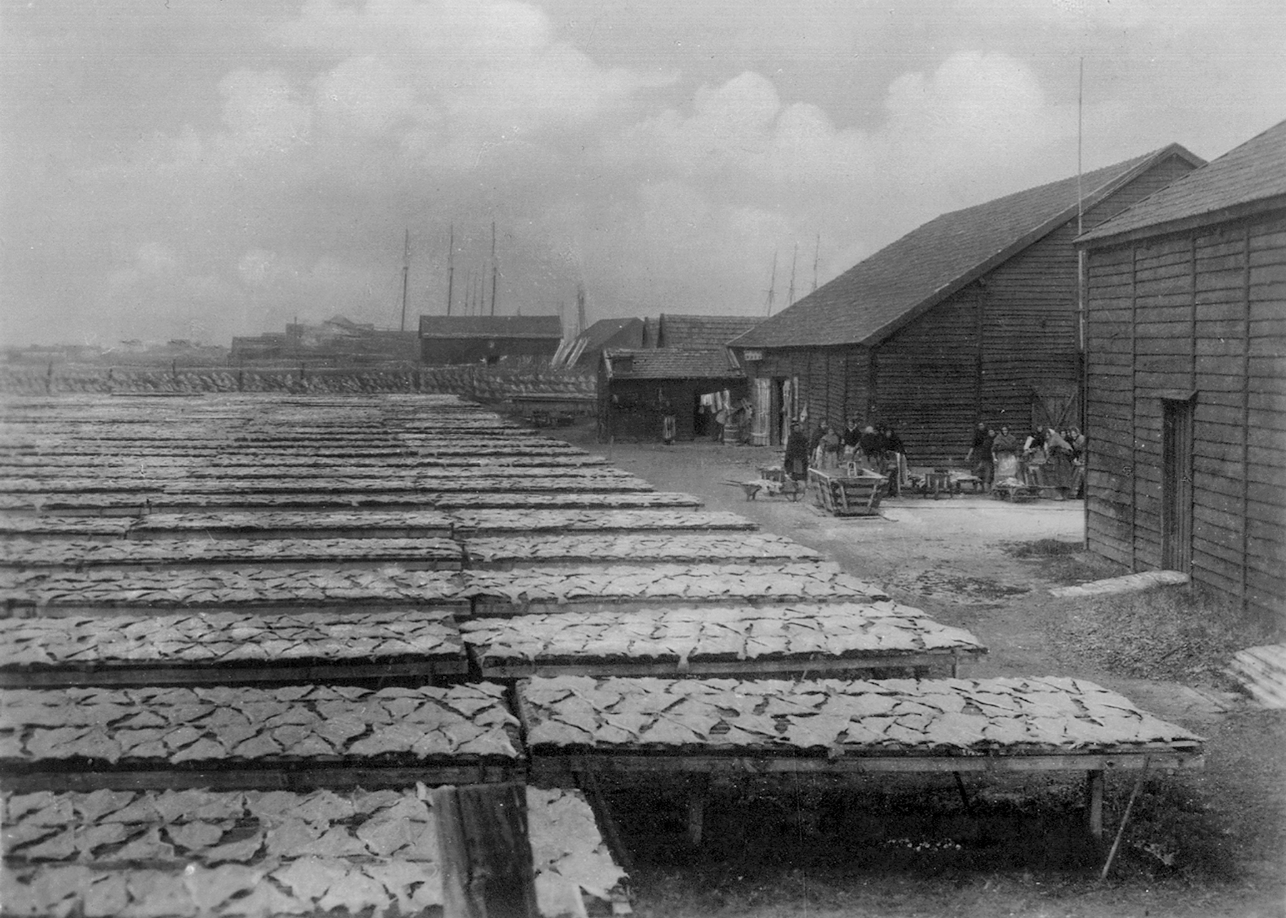 Galeria de Arquitetura, ecossistemas e bacalhau: entrevista com André Tavares - 4