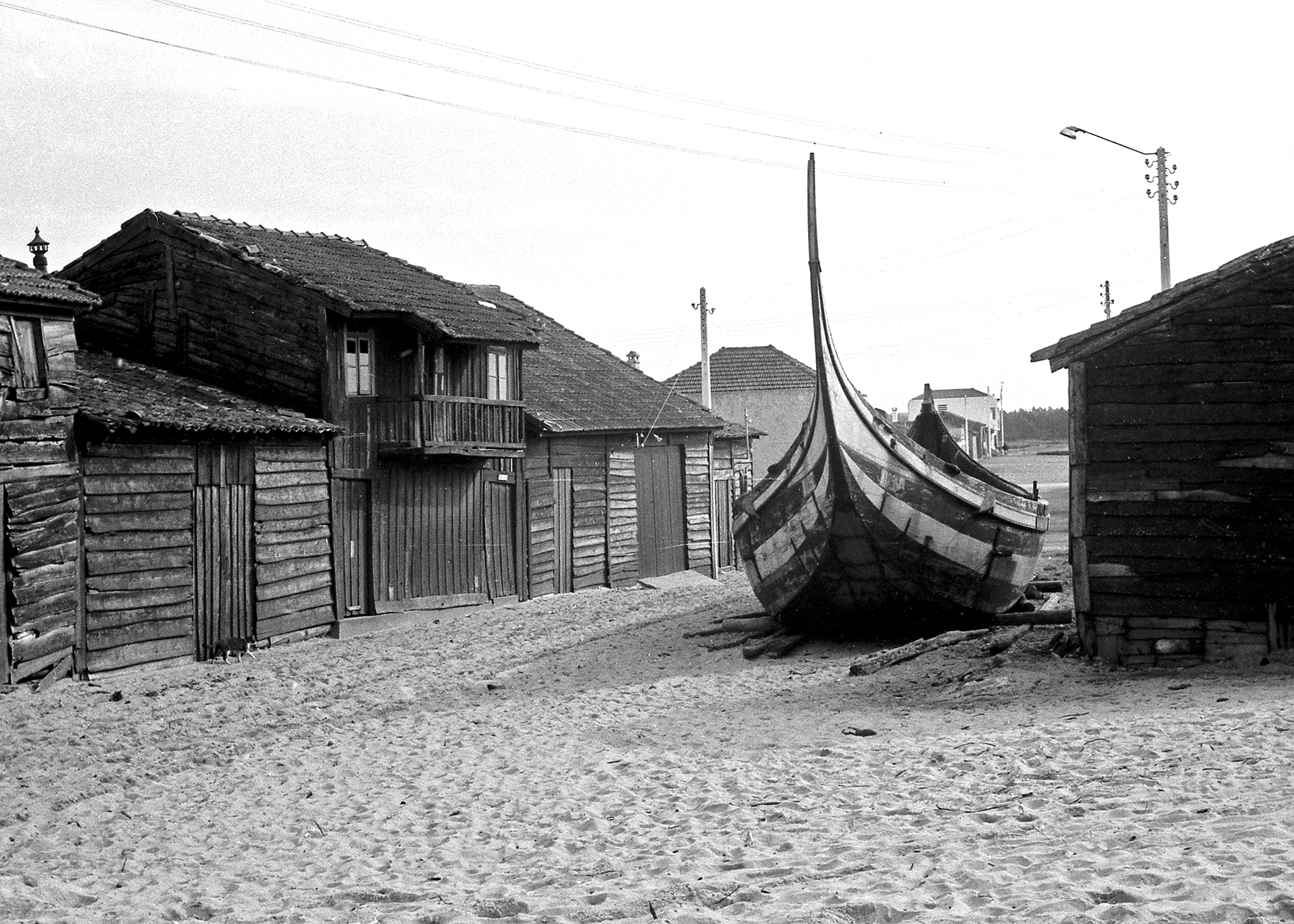 Galeria de Arquitetura, ecossistemas e bacalhau: entrevista com André Tavares - 3
