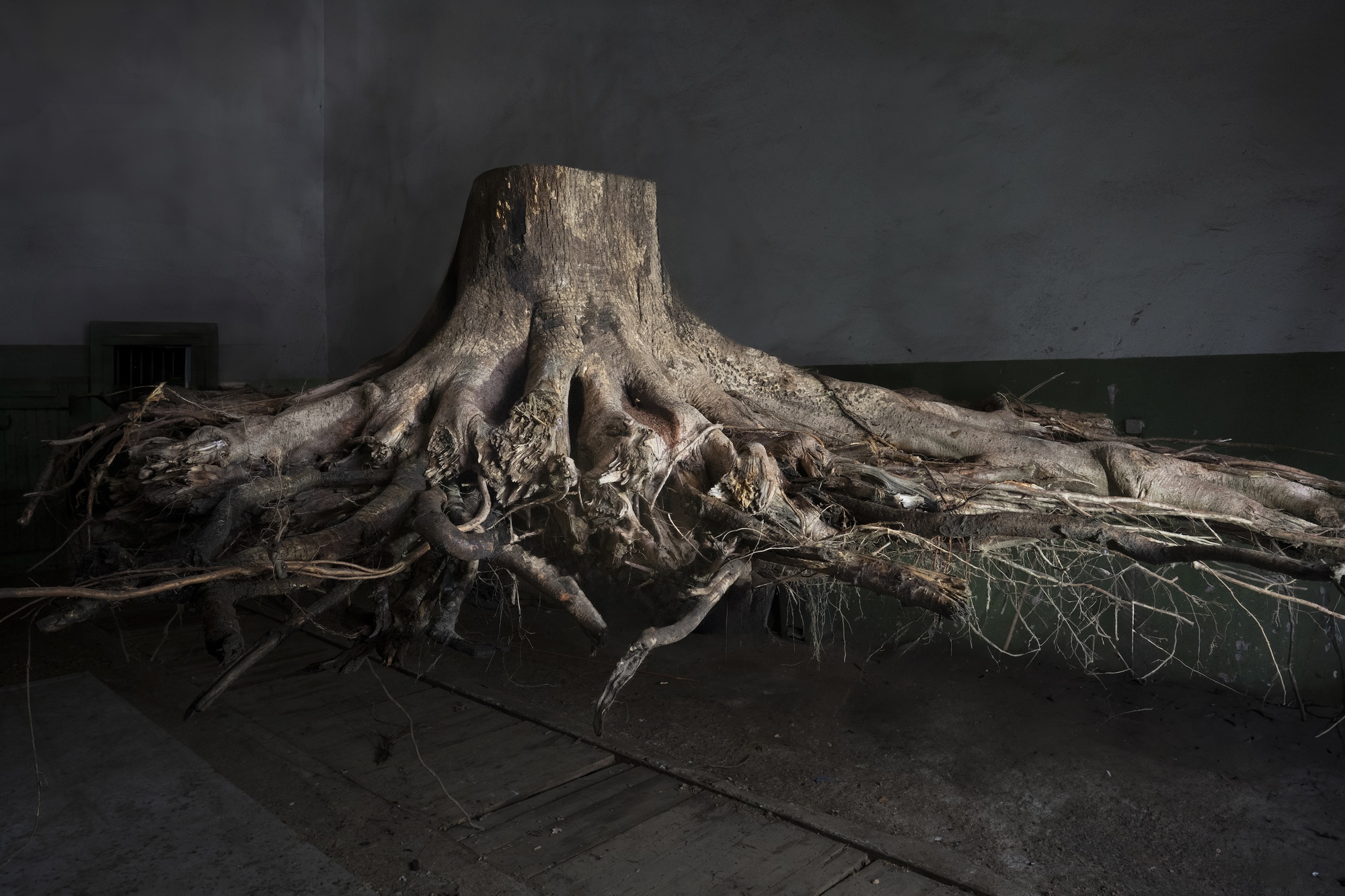 Gallery of Archi/Tree/tecture: Lithuania’s Pavilion at the 2025 Venice ...